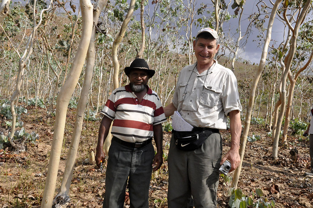 FMNR in Timor-Leste | Timor–Leste | World Vision International