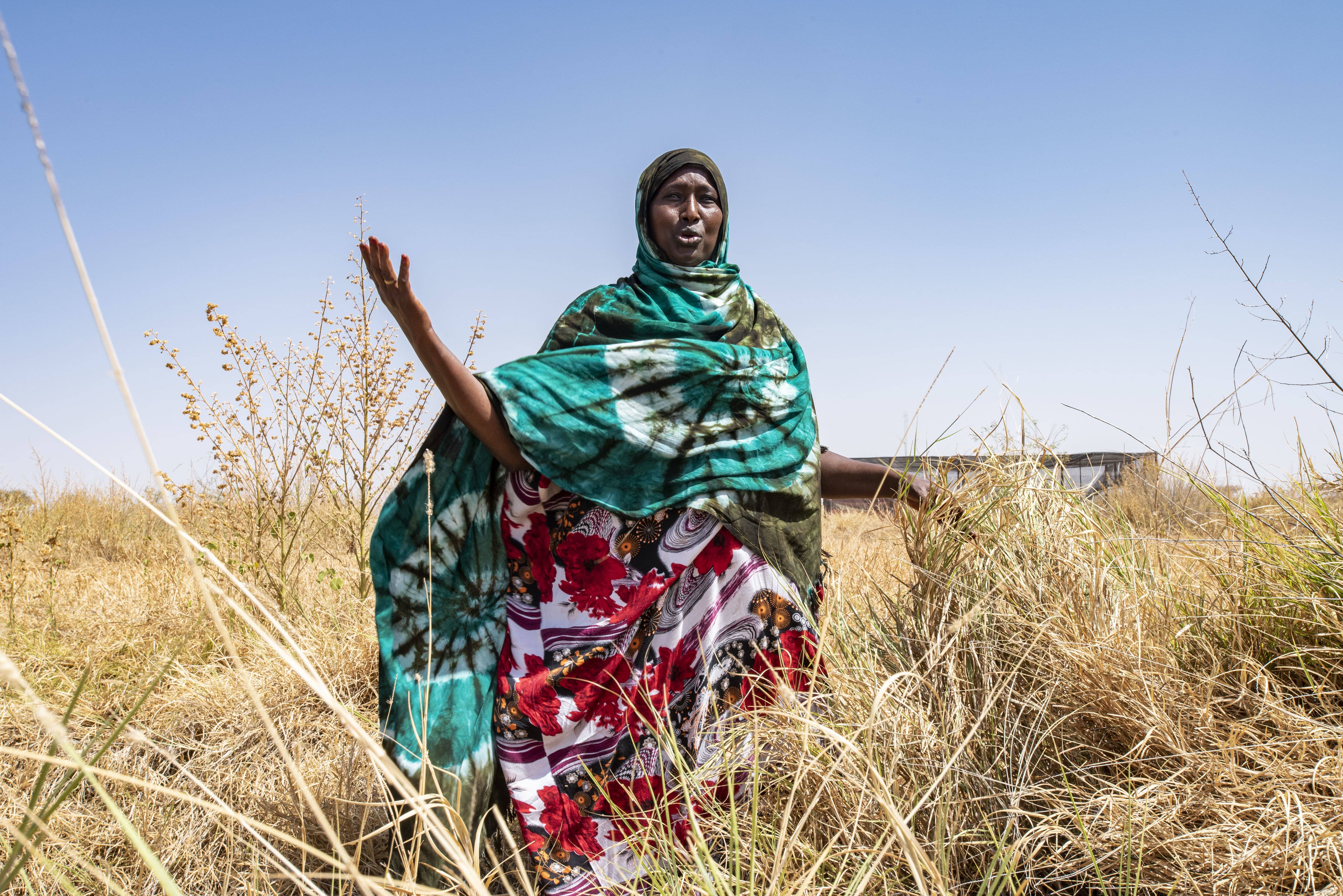 Somali communities survive and thrive through low-cost land restoration ...