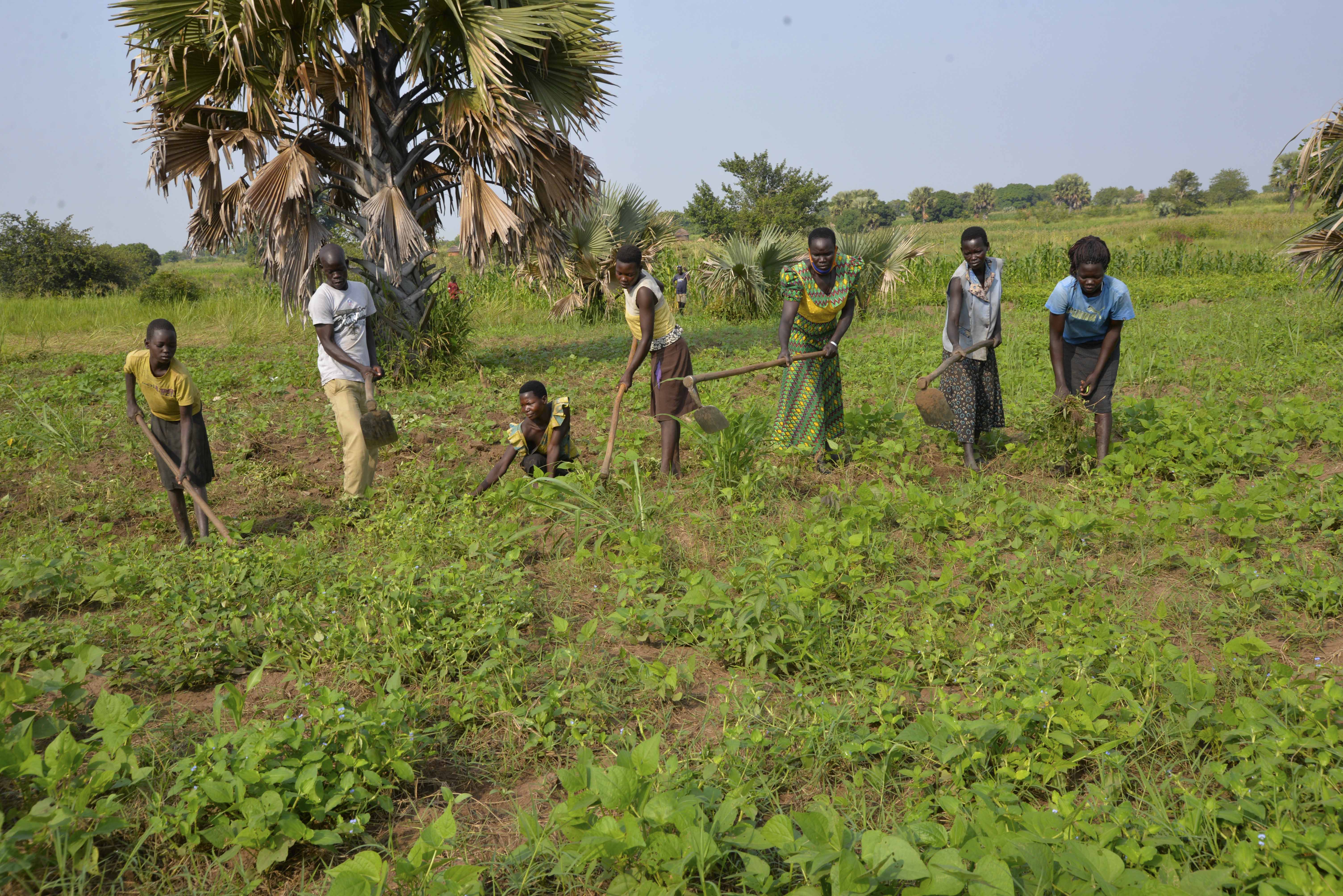 World Vision partners with WFP to meet food consumption gaps, boost ...