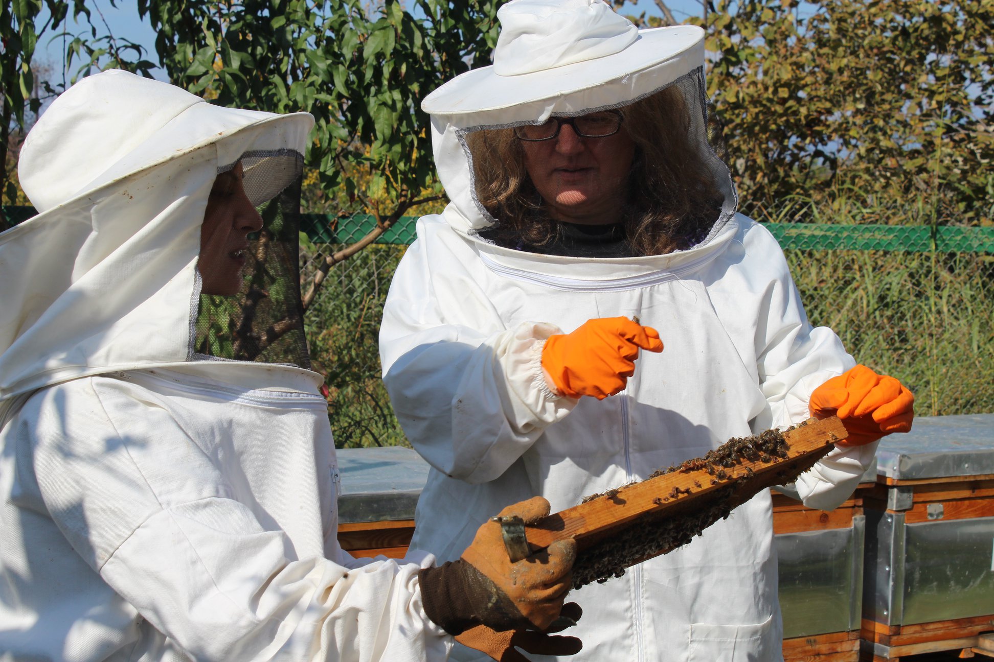 UN Resident Coordinator’s Visit to World Vision Georgia Kakheti ...