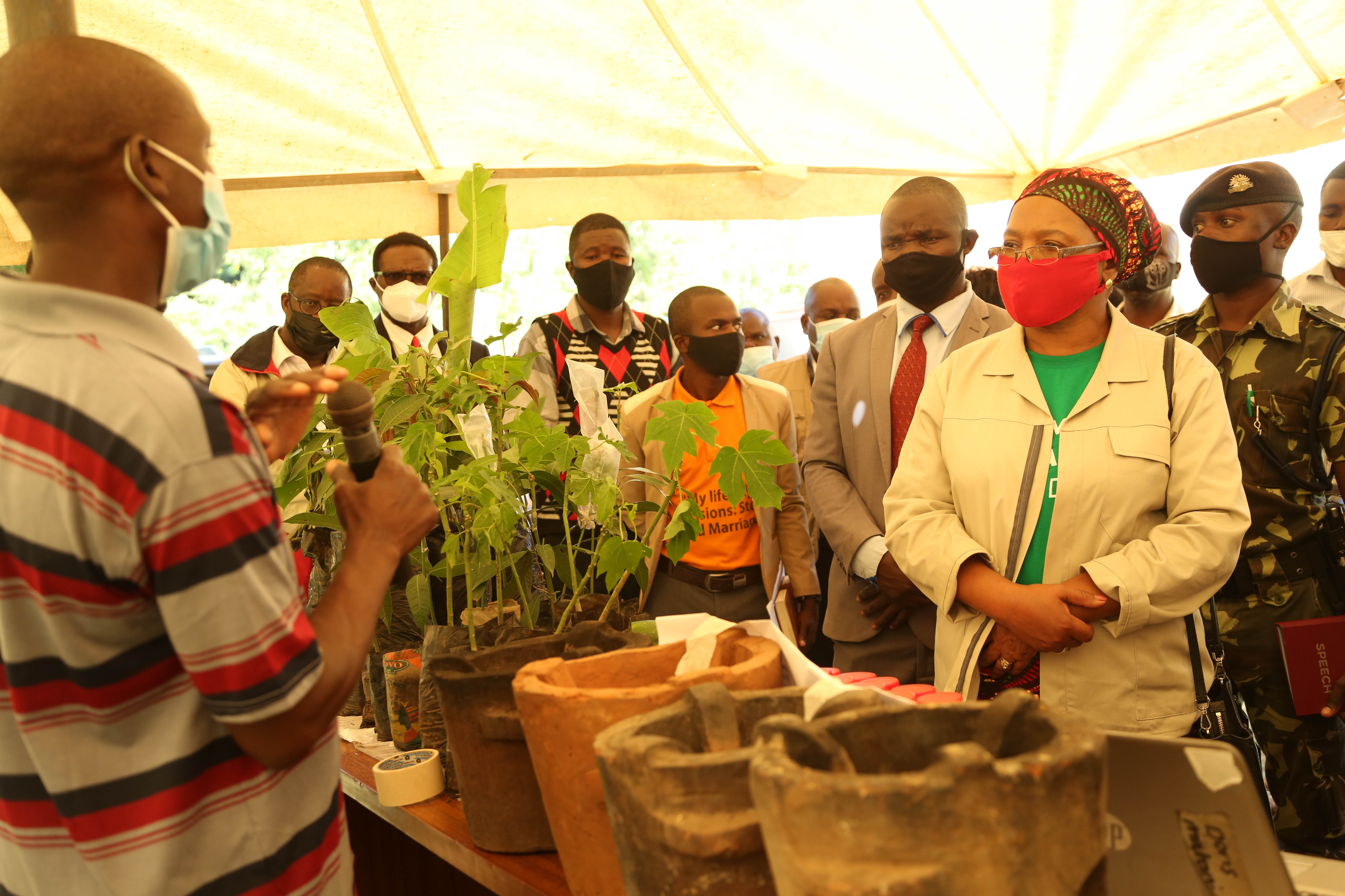 Malawi government hails World Vision’s FMNR | World Vision International