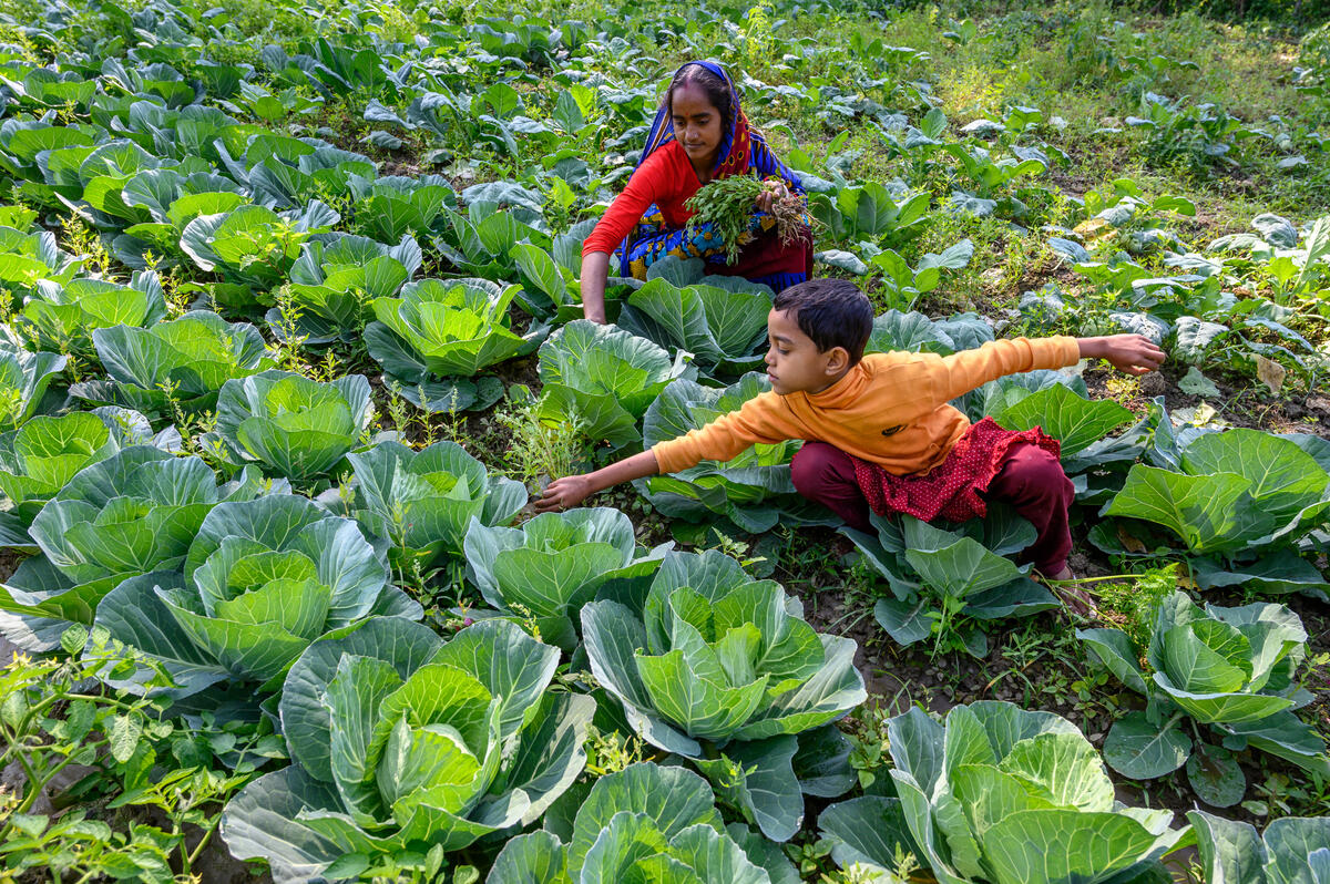 Livelihoods Technical Library | World Vision International