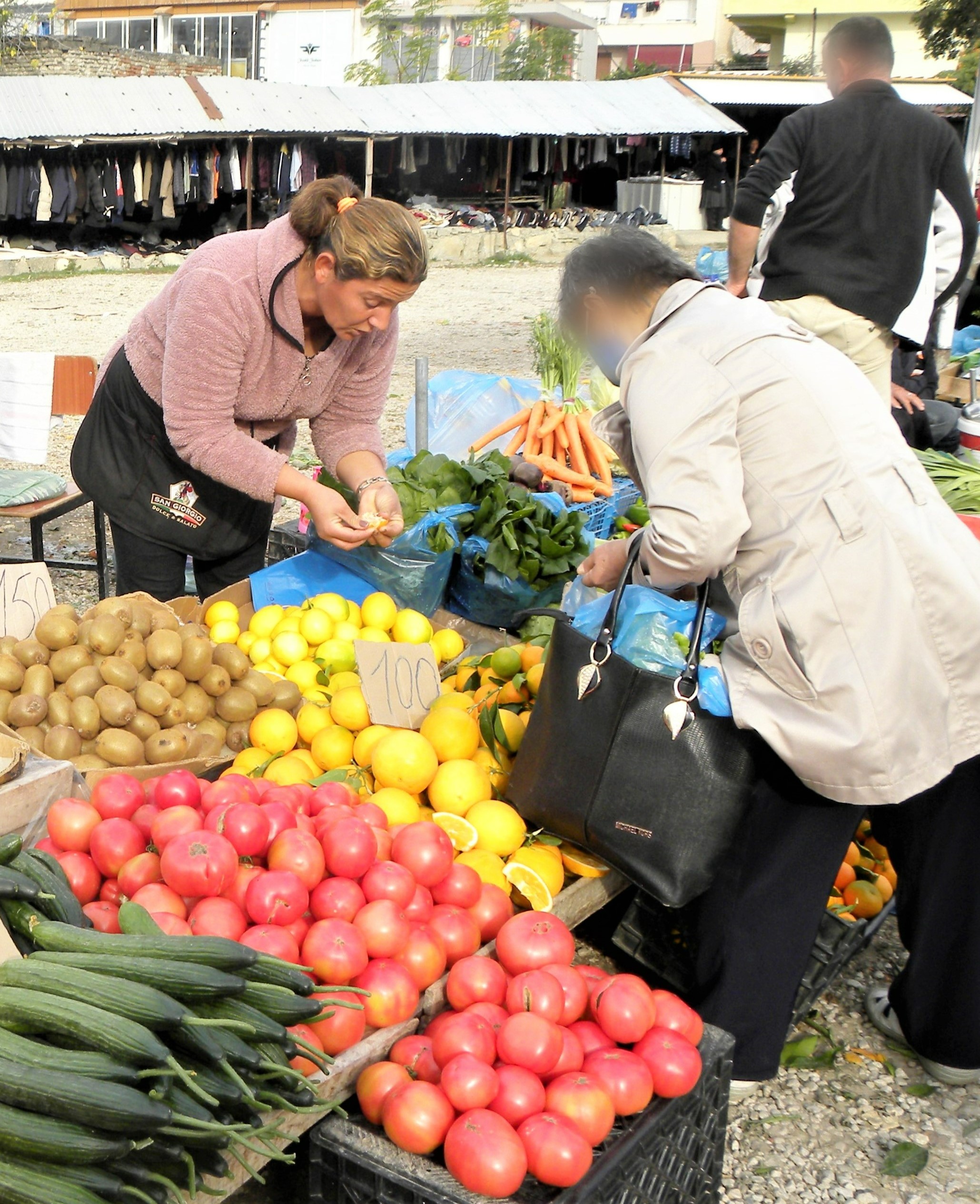 Finding hope in fruit, vegetables and flowers | Albania | World Vision ...