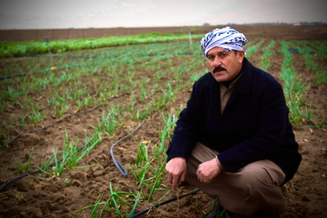 Rebuilding from scratch | Iraq | World Vision International