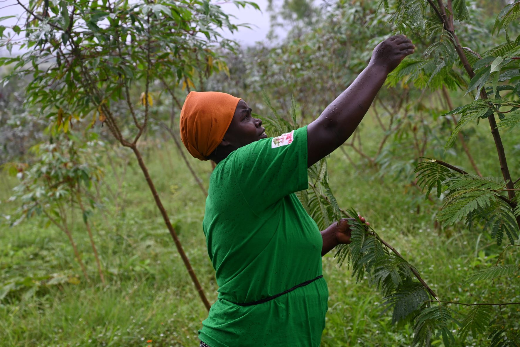 Women at the forefront of environmental conservation in Rwanda | Rwanda ...