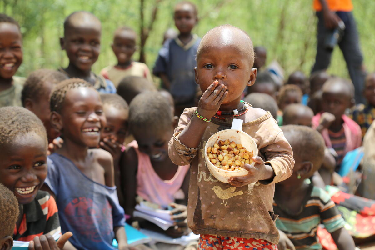 International Food Policy Research Institute | Our Global Partners ...