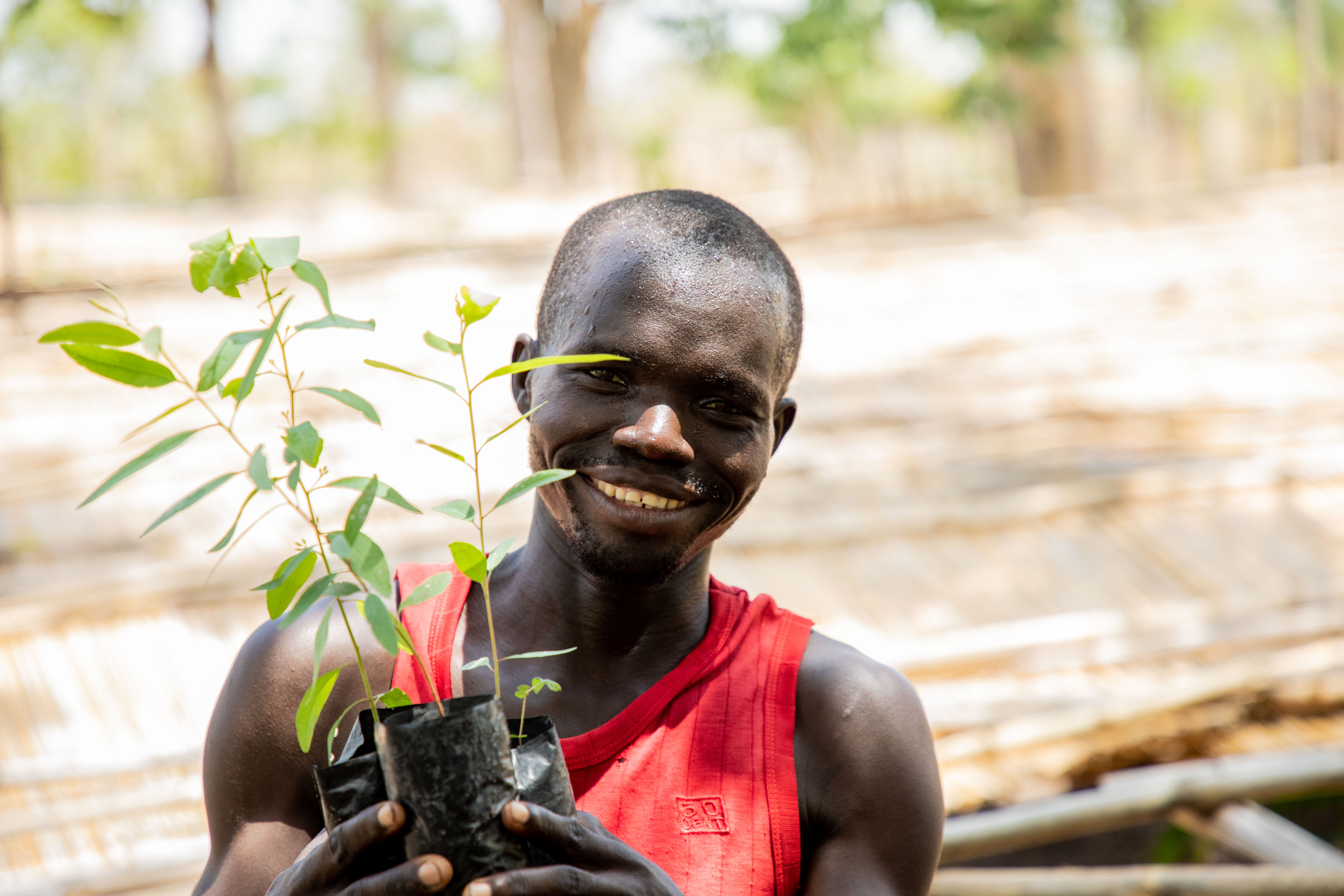 A family invests in tree planting to fight climate change | Uganda ...