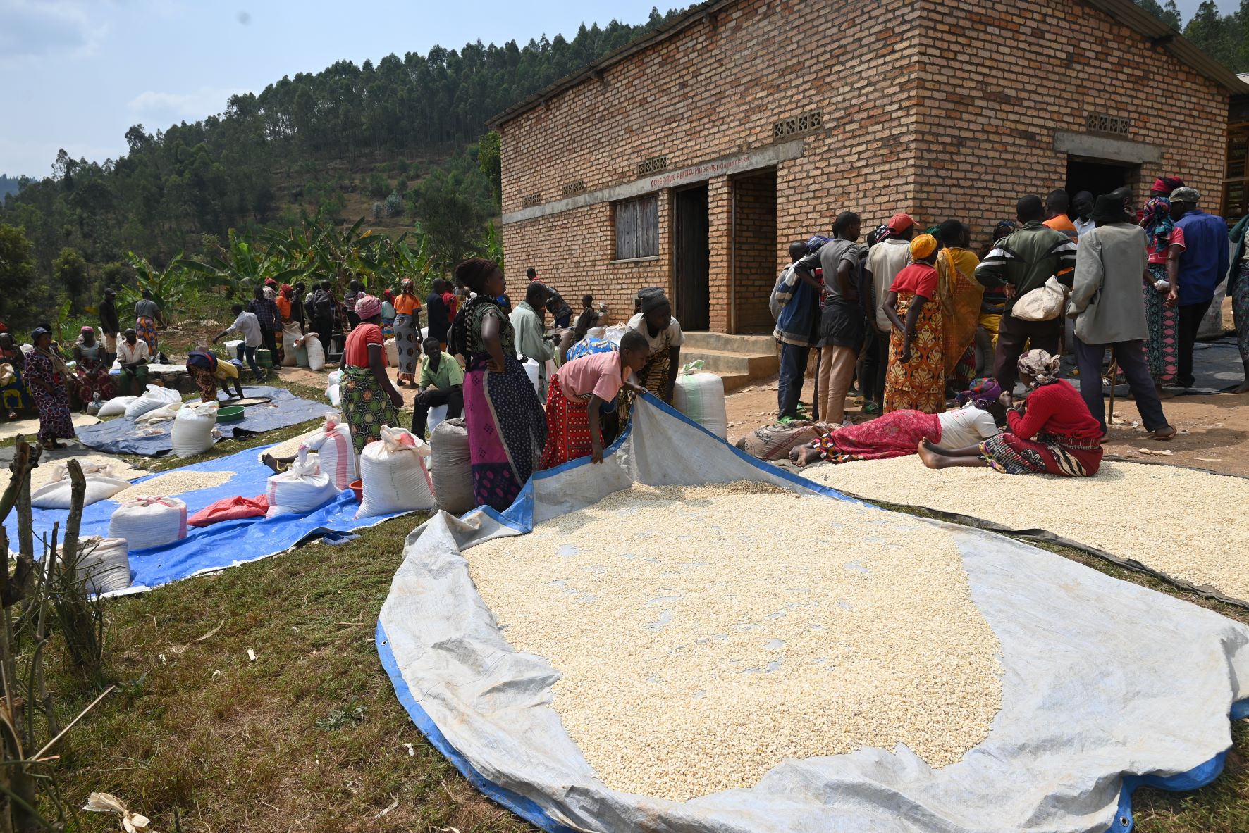 Enhancing Market systems to improve Farmers' Livelihoods | Rwanda ...