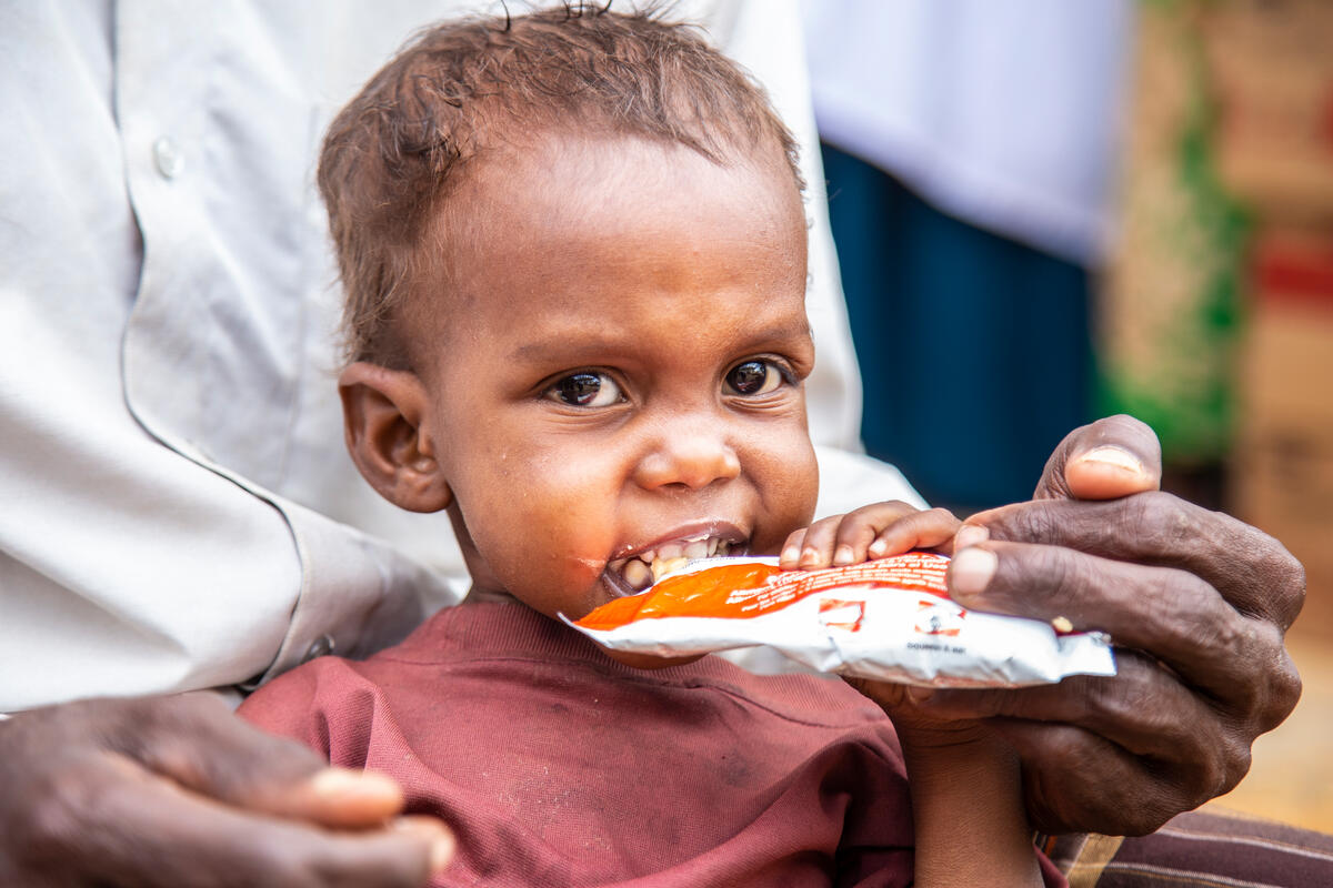 Food Security | Disaster Management | World Vision International