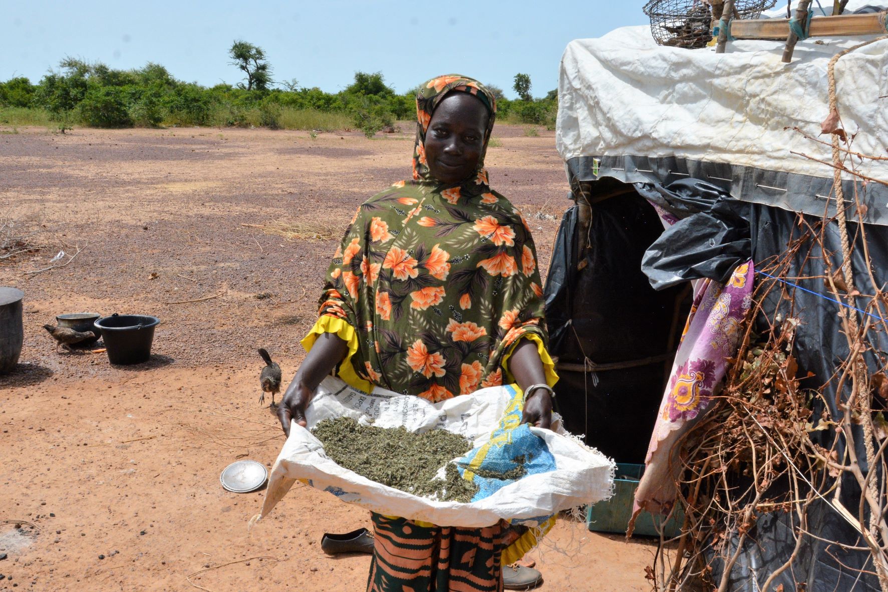 Heavy rains atttributed to climate change displaces thousands in the ...