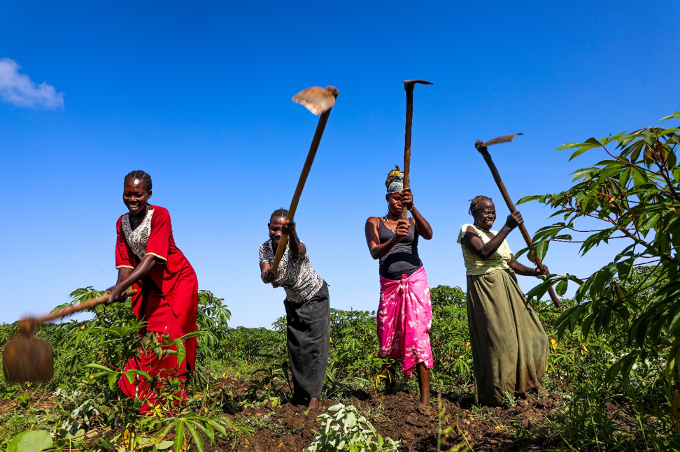 Refugee families adopt block farming to improve food security | Global ...