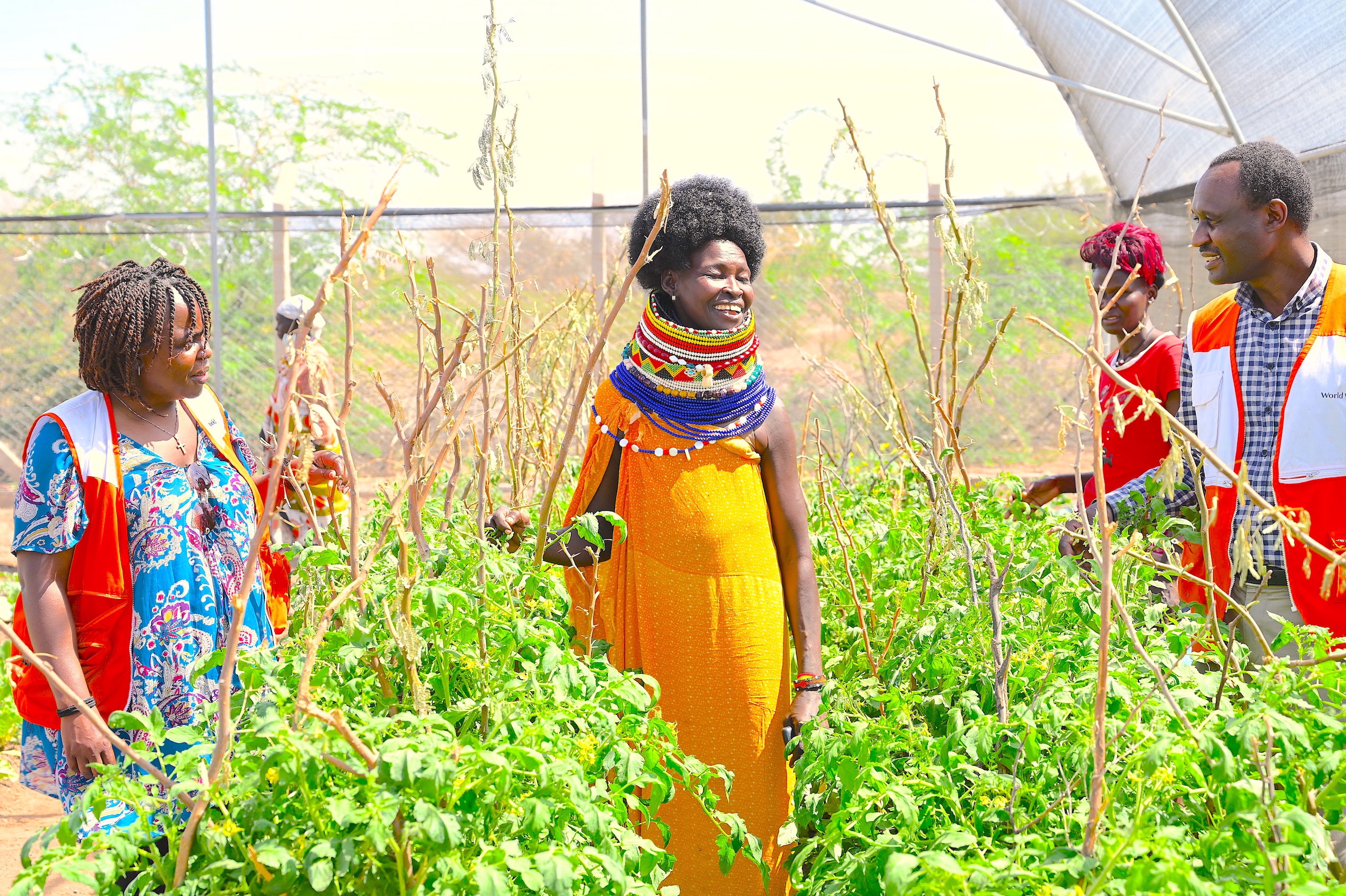 Building Resilience: Thriving in the Face of Climate Change | Kenya ...