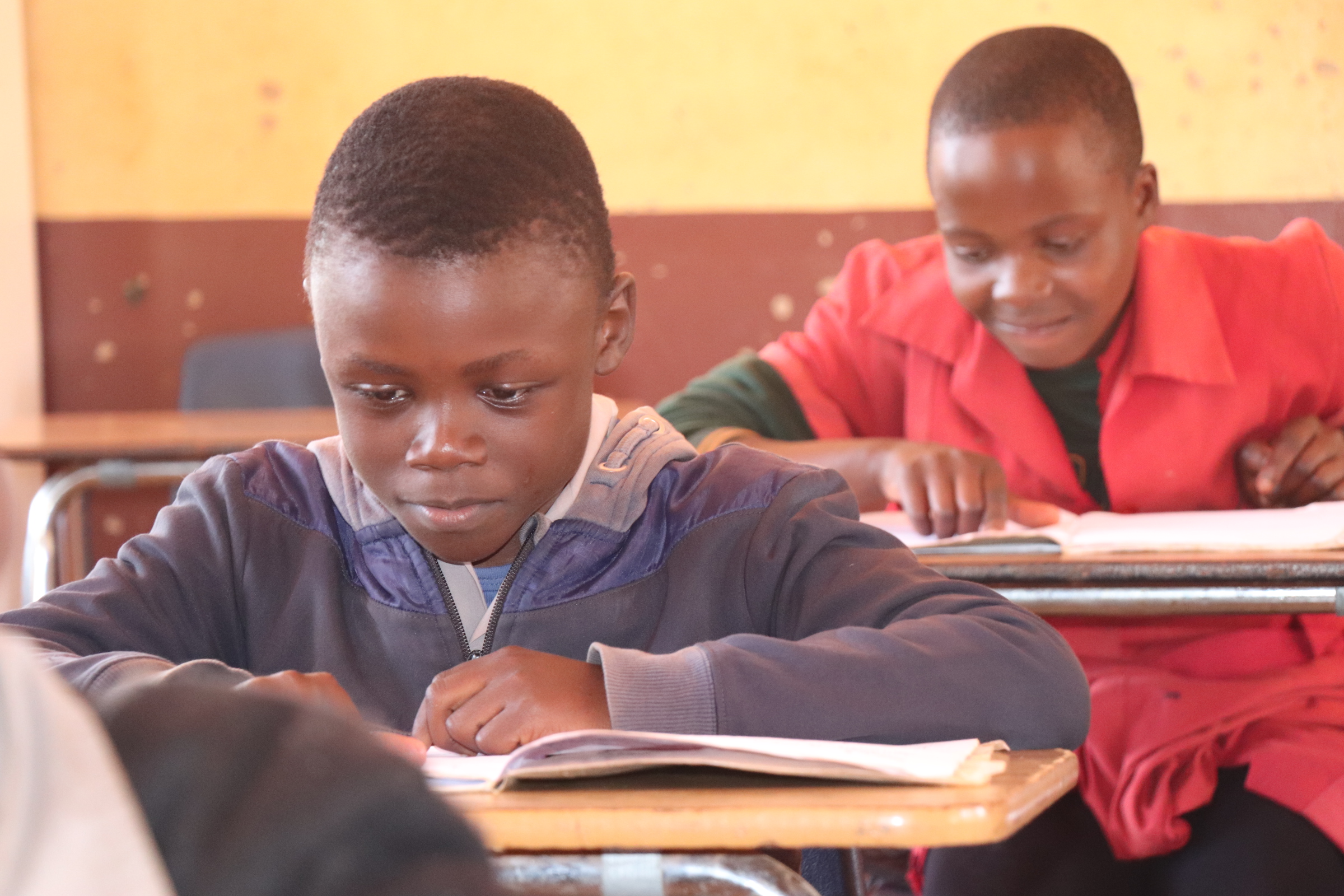 Endzaleni Primary School: A Thriving Learning Environment Thanks to ...