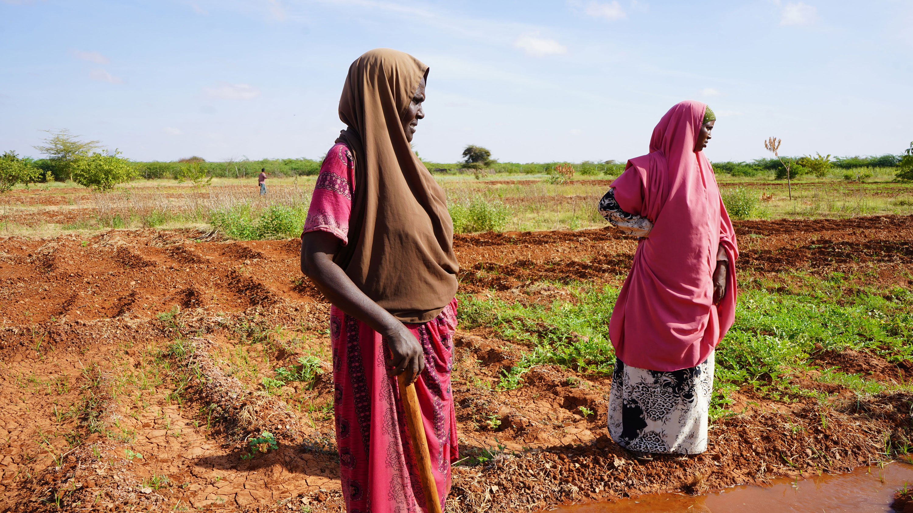 Somalia farmers left disheartened by the 2023 floods-triggered crop ...