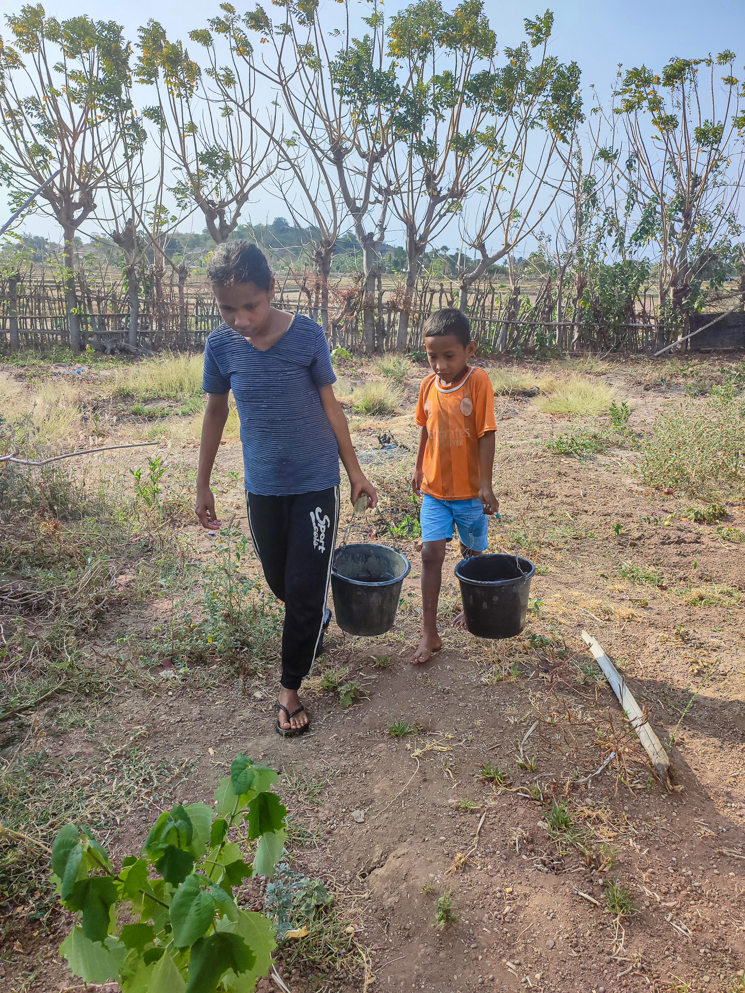 Inspiring Resilience: Hernania’s story | Timor–Leste | World Vision ...