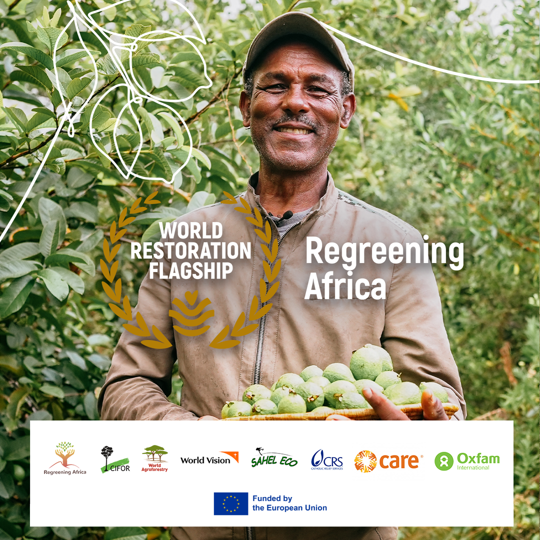 EU funded Regreening Africa Awarded UN World Restoration Flagship ...