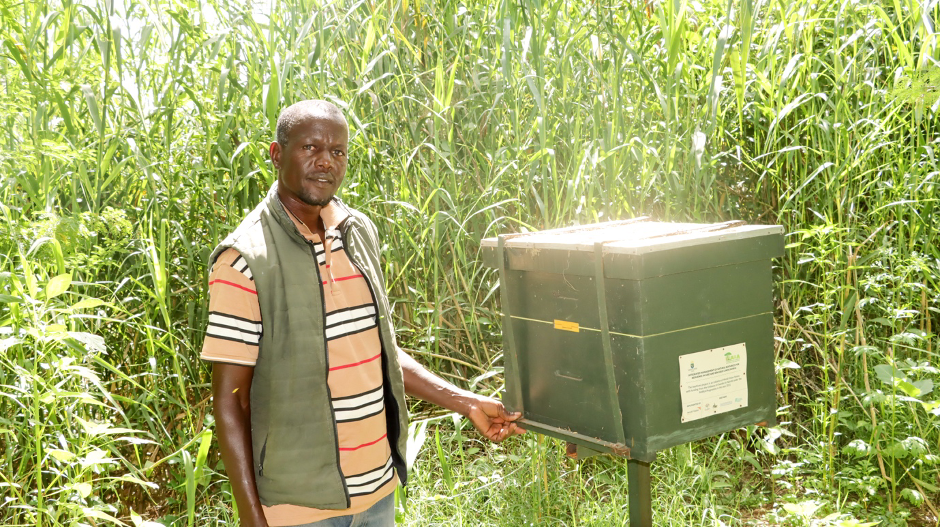 Bees for Peace: How Beekeeping Promotes Peace among Pastoral ...