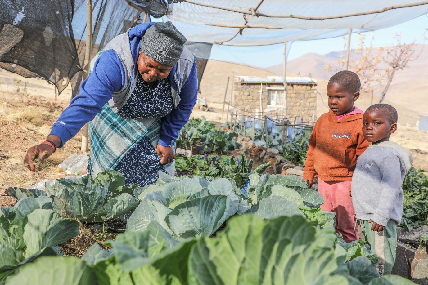 Nourishing Lives: Empowering Communities Through Nutrition Clubs ...