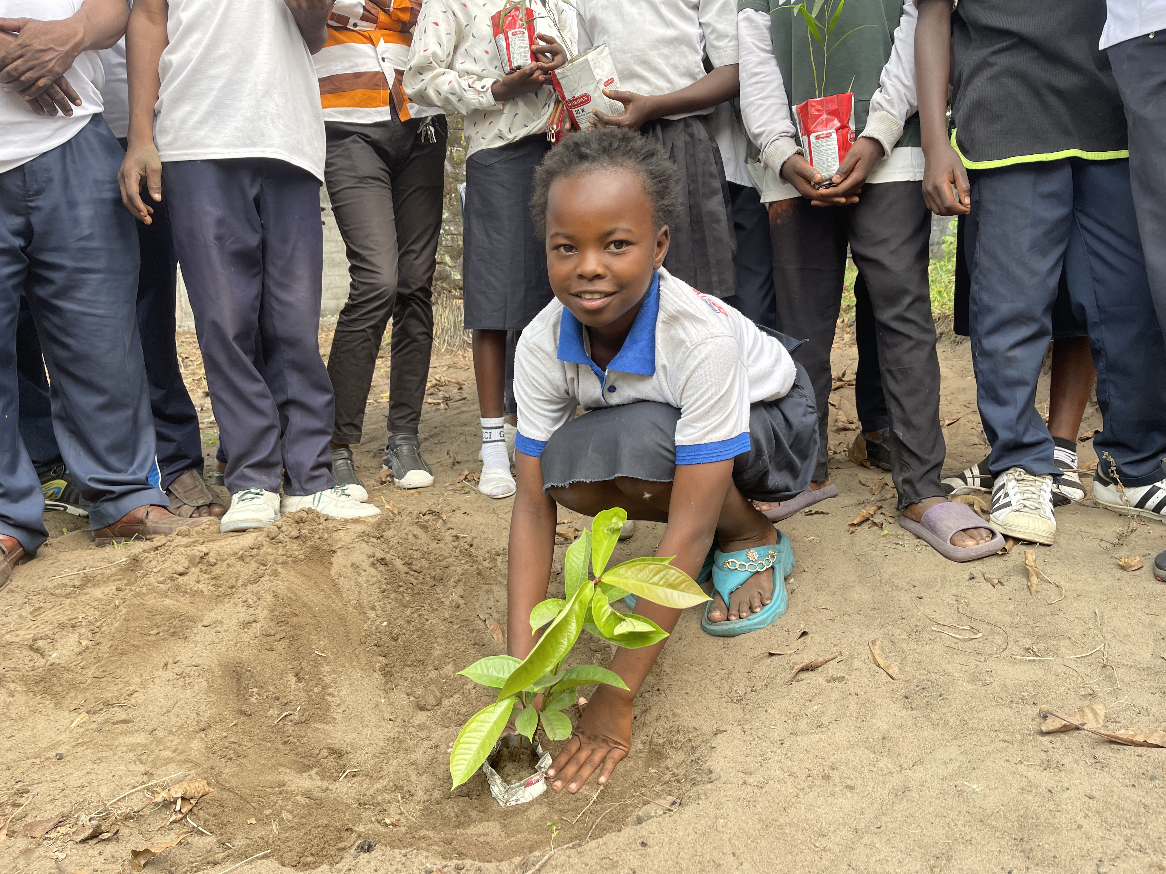 DR Congo: Children involved in reforestation activities in their ...