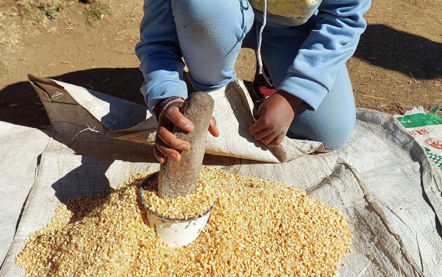 Lesotho Declares National Disaster: Food Insecurity Due to El Niño ...