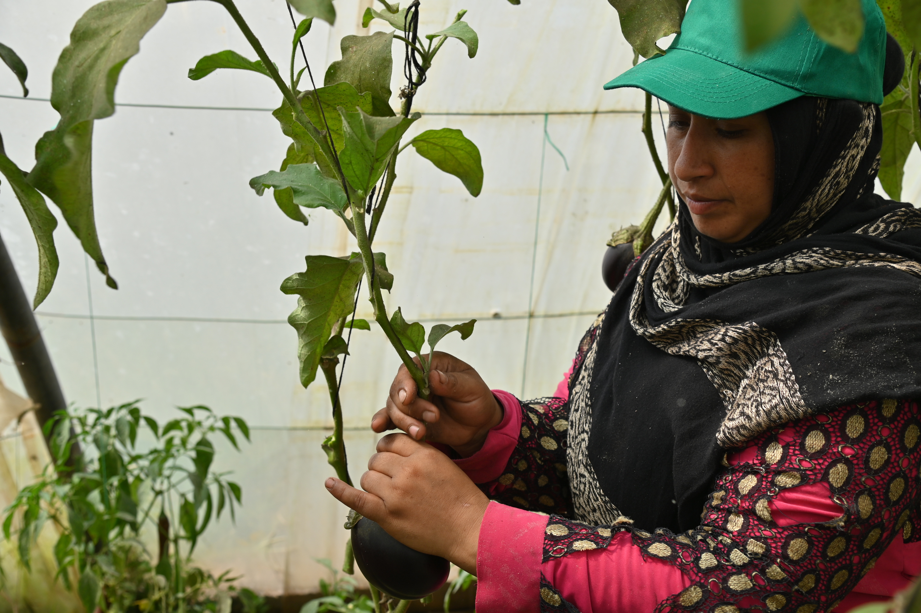 Fields of Strength | Lebanon | World Vision International