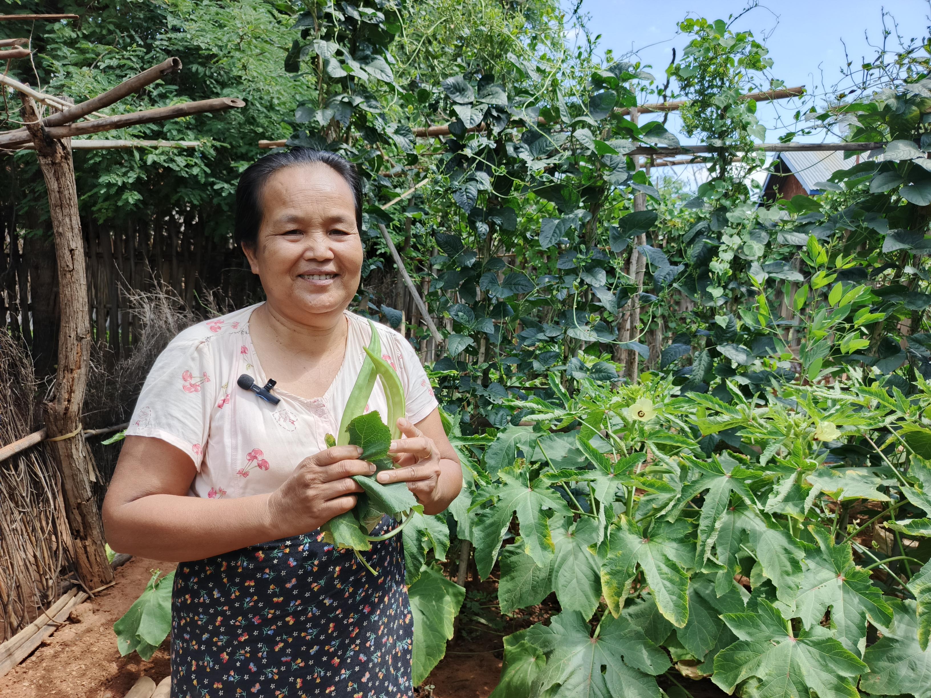 Thidar’s home garden: A model of sustainable indigenous agriculture ...