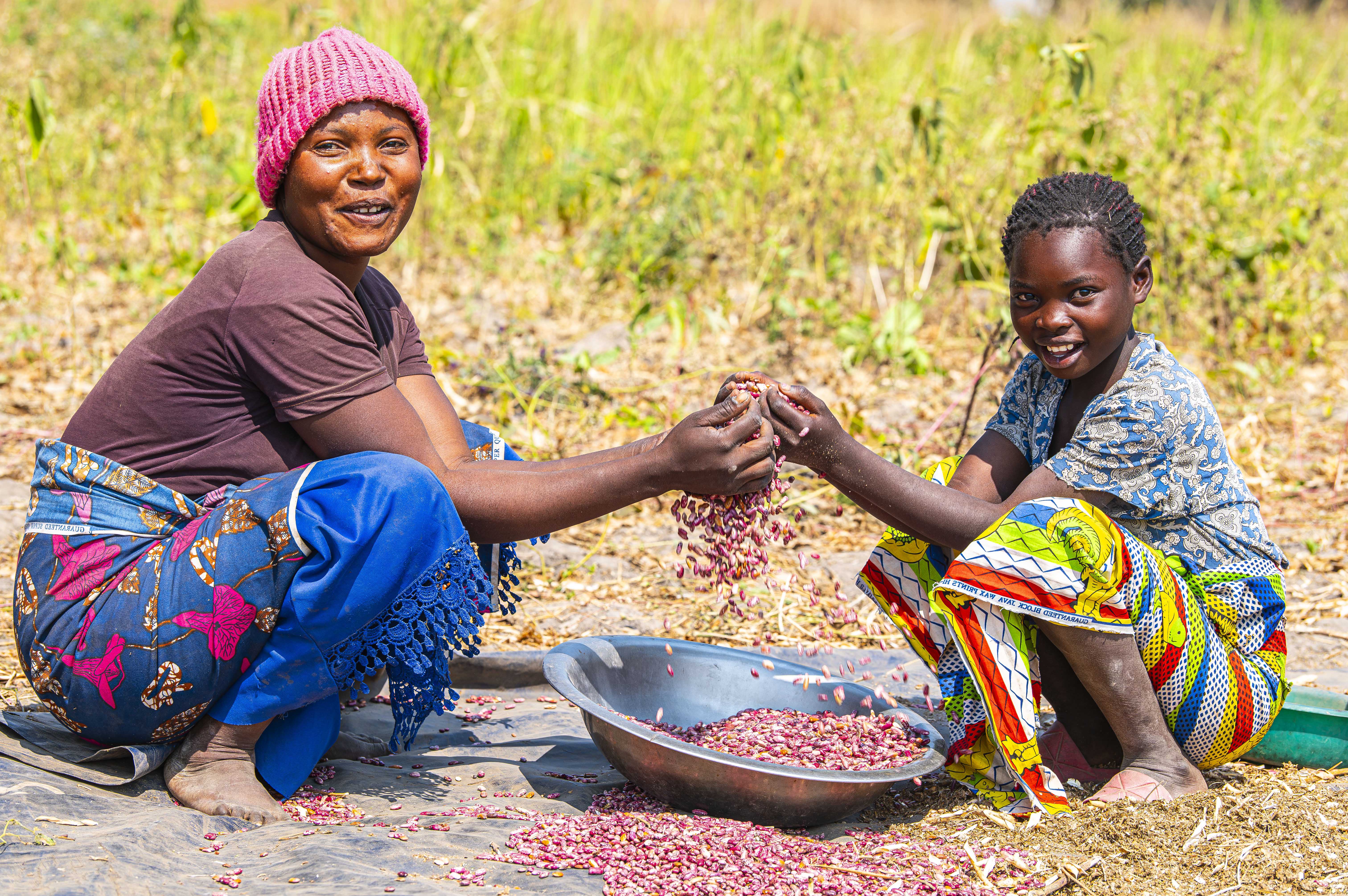 DR Congo: Growing Beans Guarantees Food Security For The Communities ...