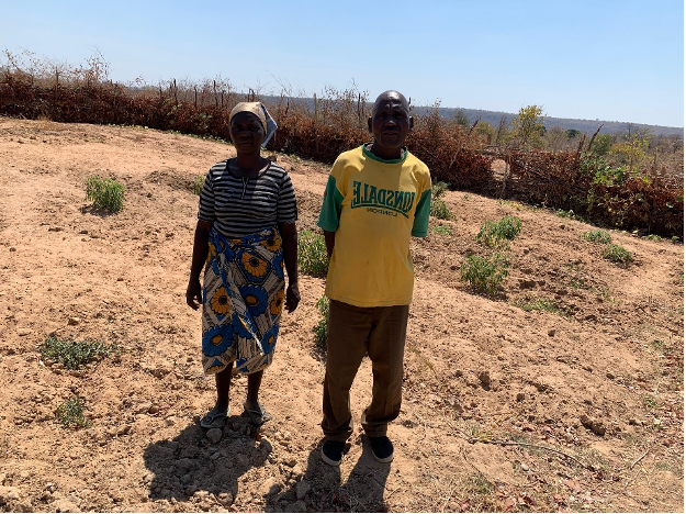 El Niño Drought Devastates Zimbabwean Family's Livelihood, but Hope ...