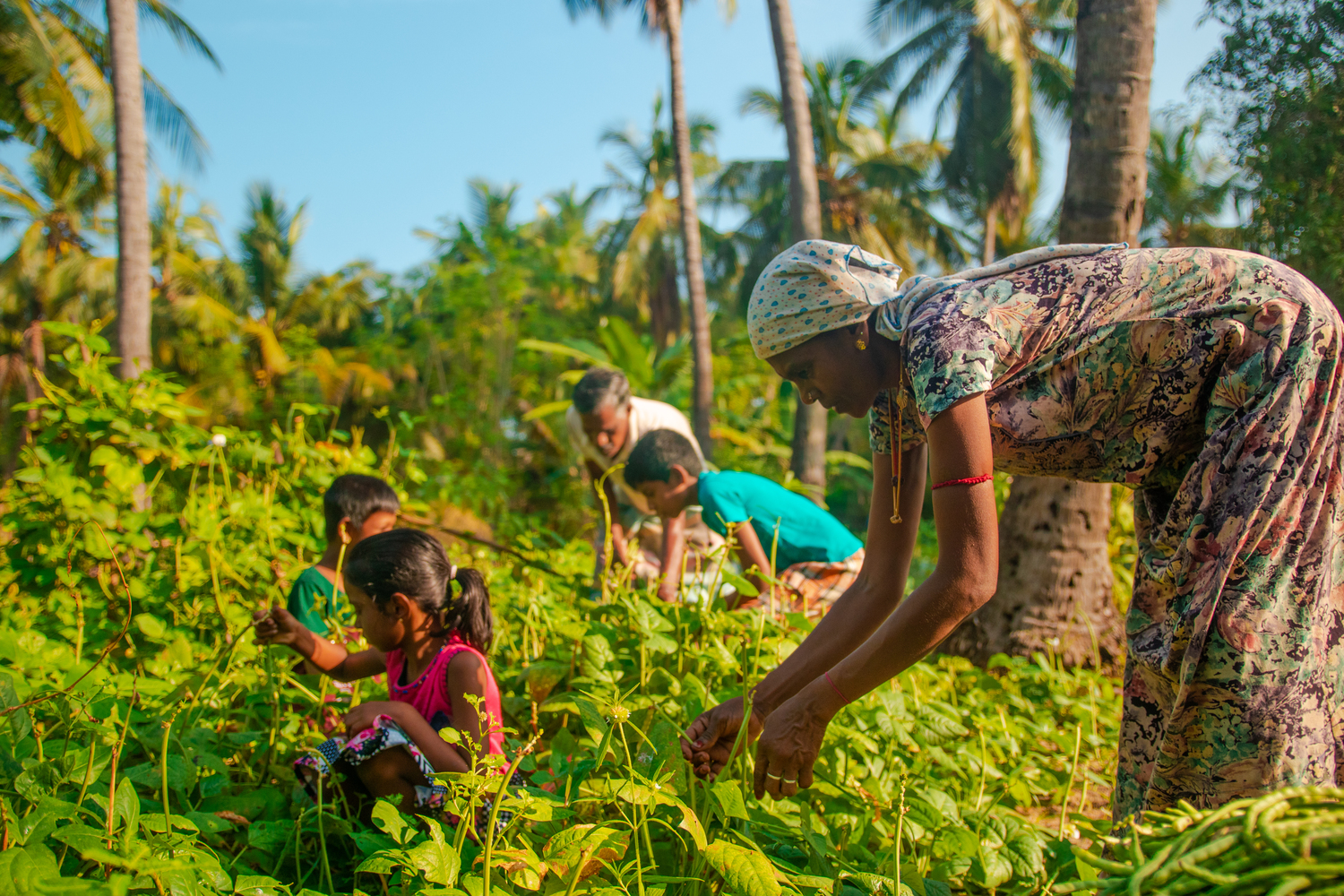 Grants and Special Projects | Sri Lanka | World Vision International