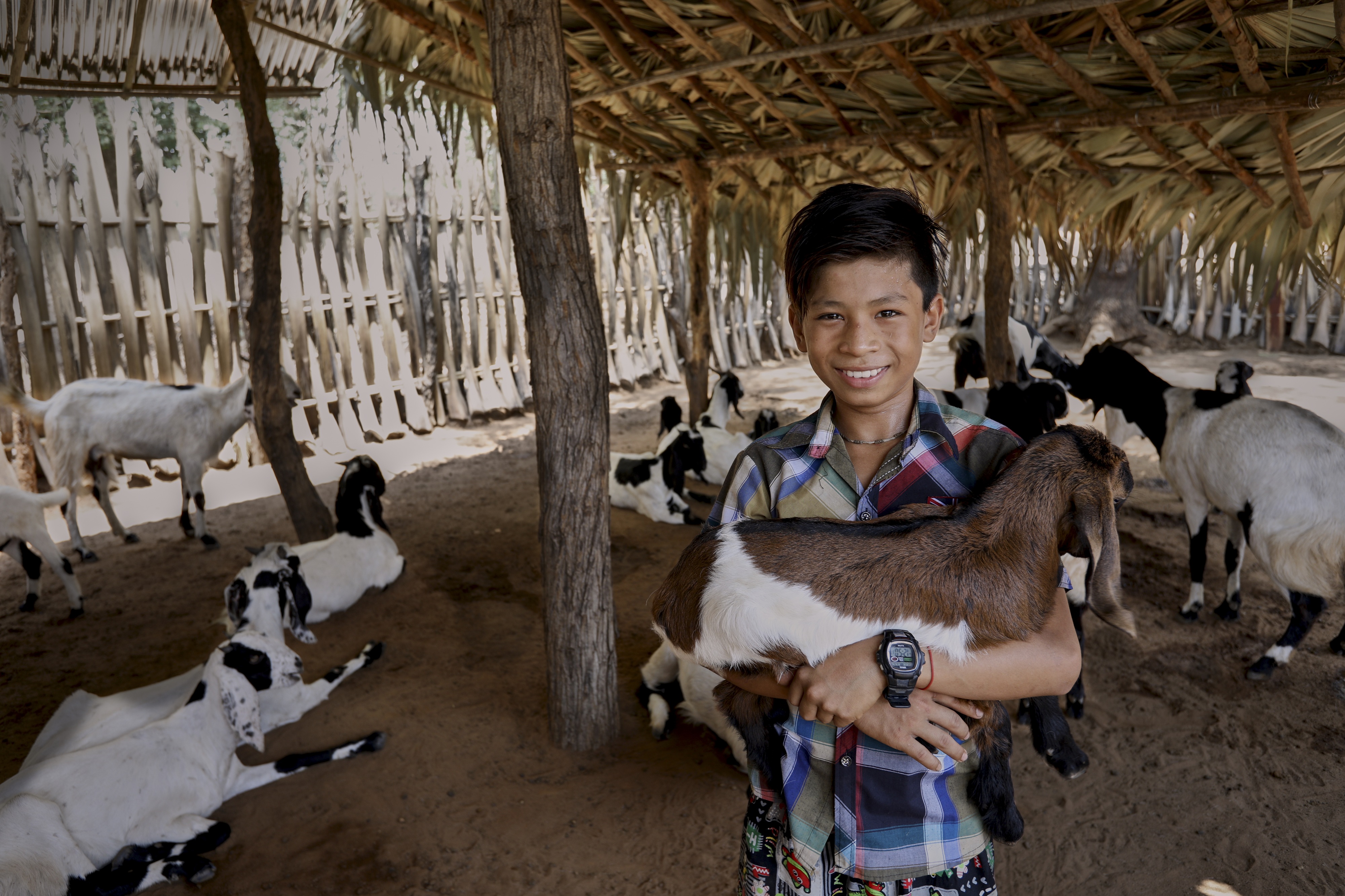 Resilience and Livelihood Programme in Myanmar | Myanmar | World Vision ...