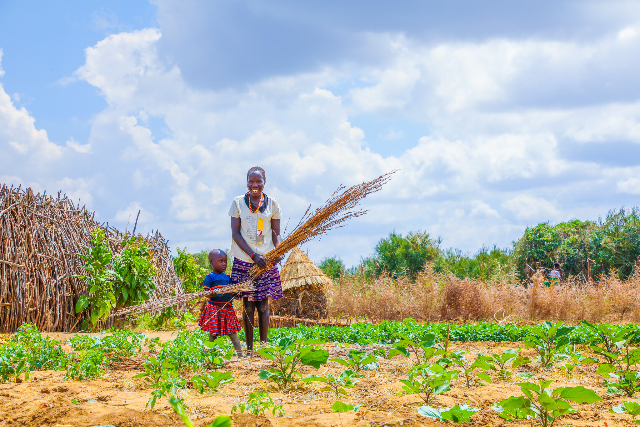 Zai Pits Transforming Nutrition and Food Security in Karamoja | Uganda ...