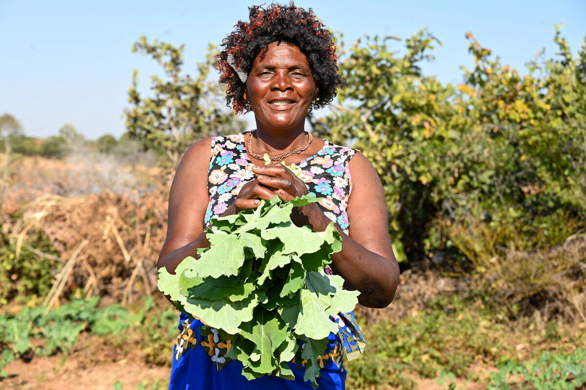 Hope Flows from Chitongo Dam in Namwala district, Southern Zambia ...