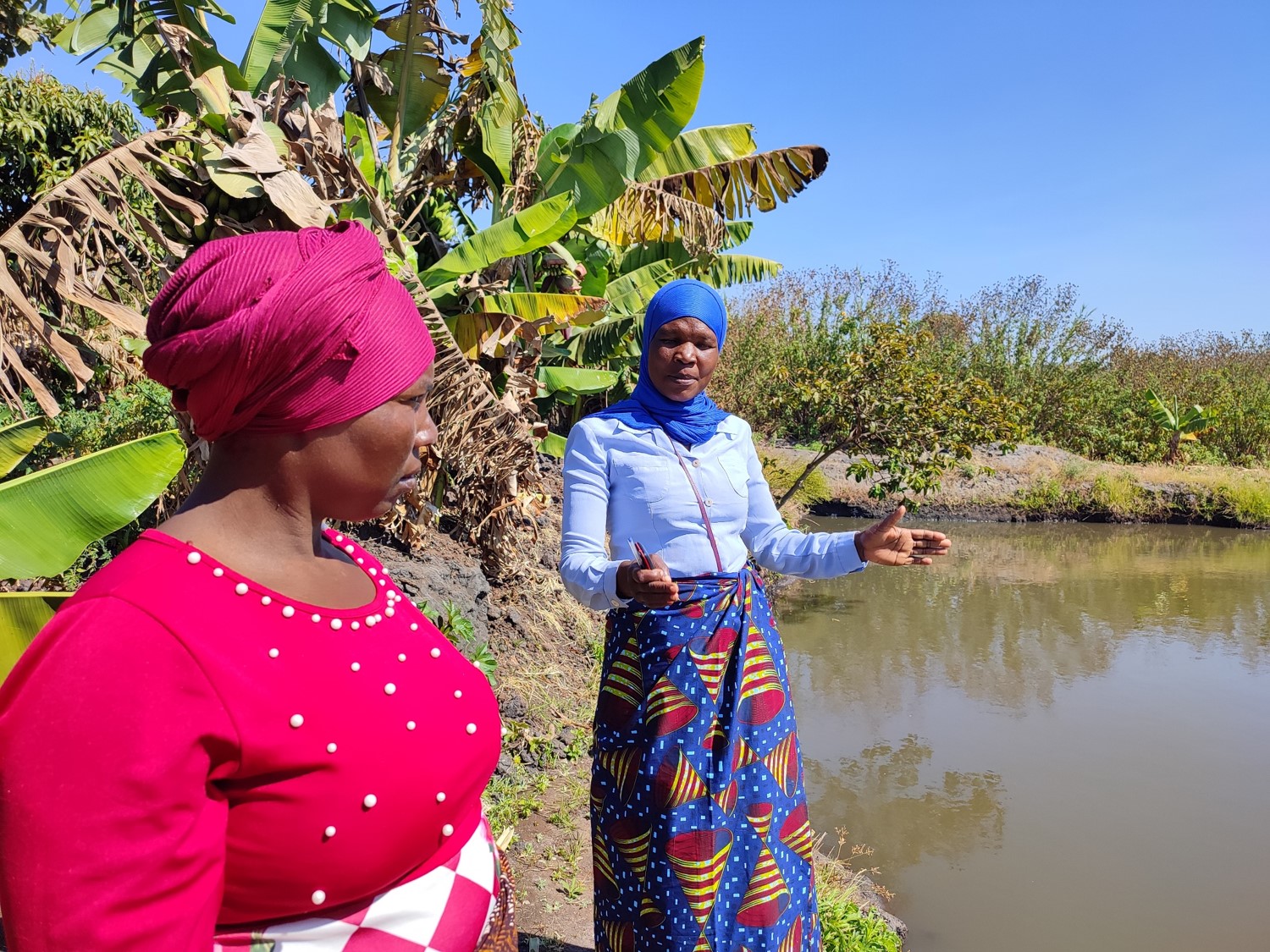 Fish Farming Brings Fresh Hope and Income to Dedza Communities In ...