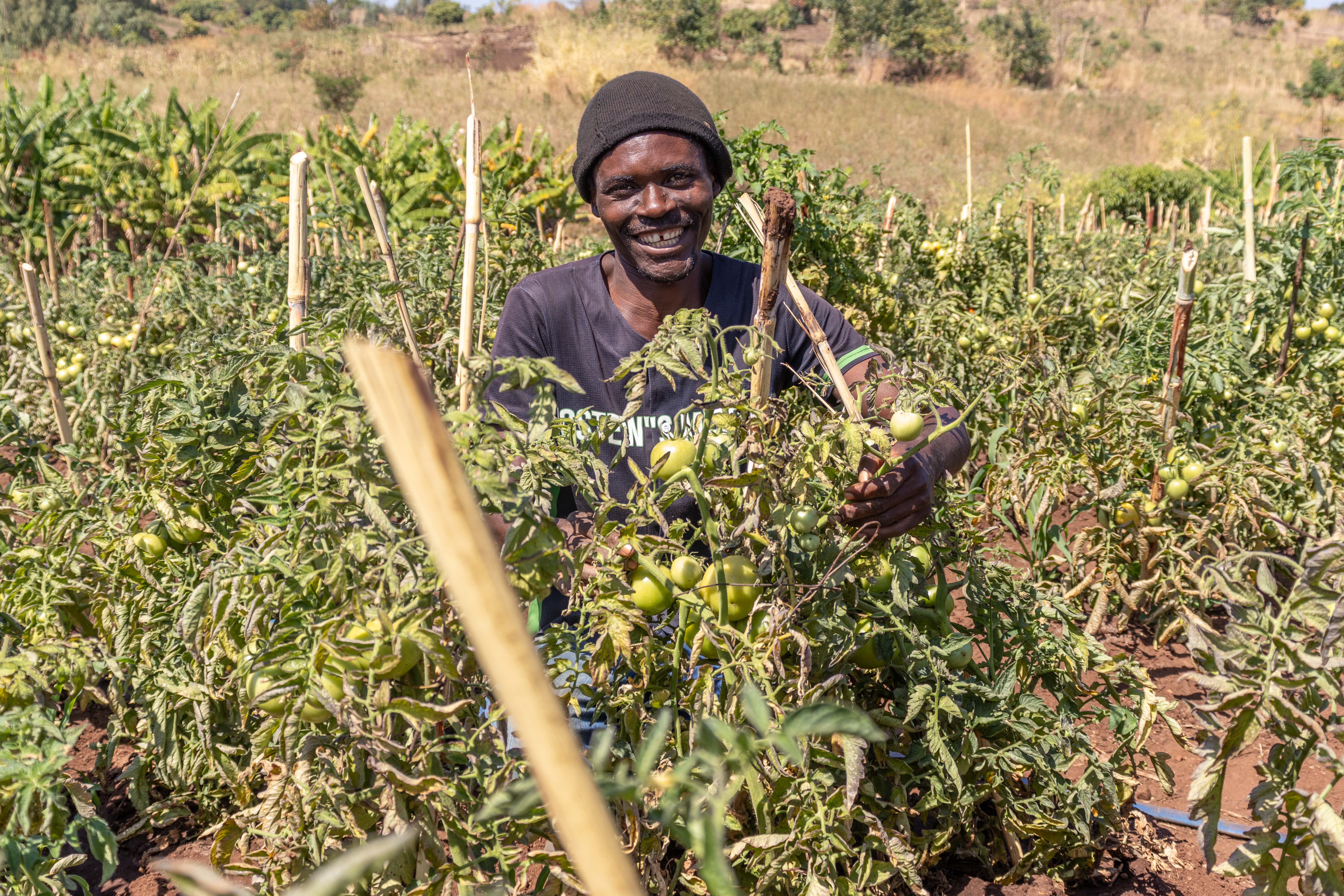World Vision Water Project Inspires Irrigation Farming | Malawi | World ...