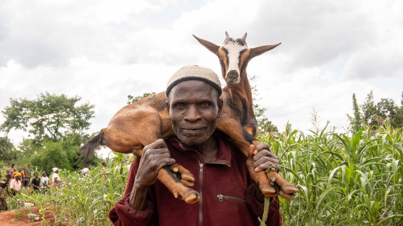 A Dream Come True: Goat Pass-On Project Empowers Families in Malawi ...
