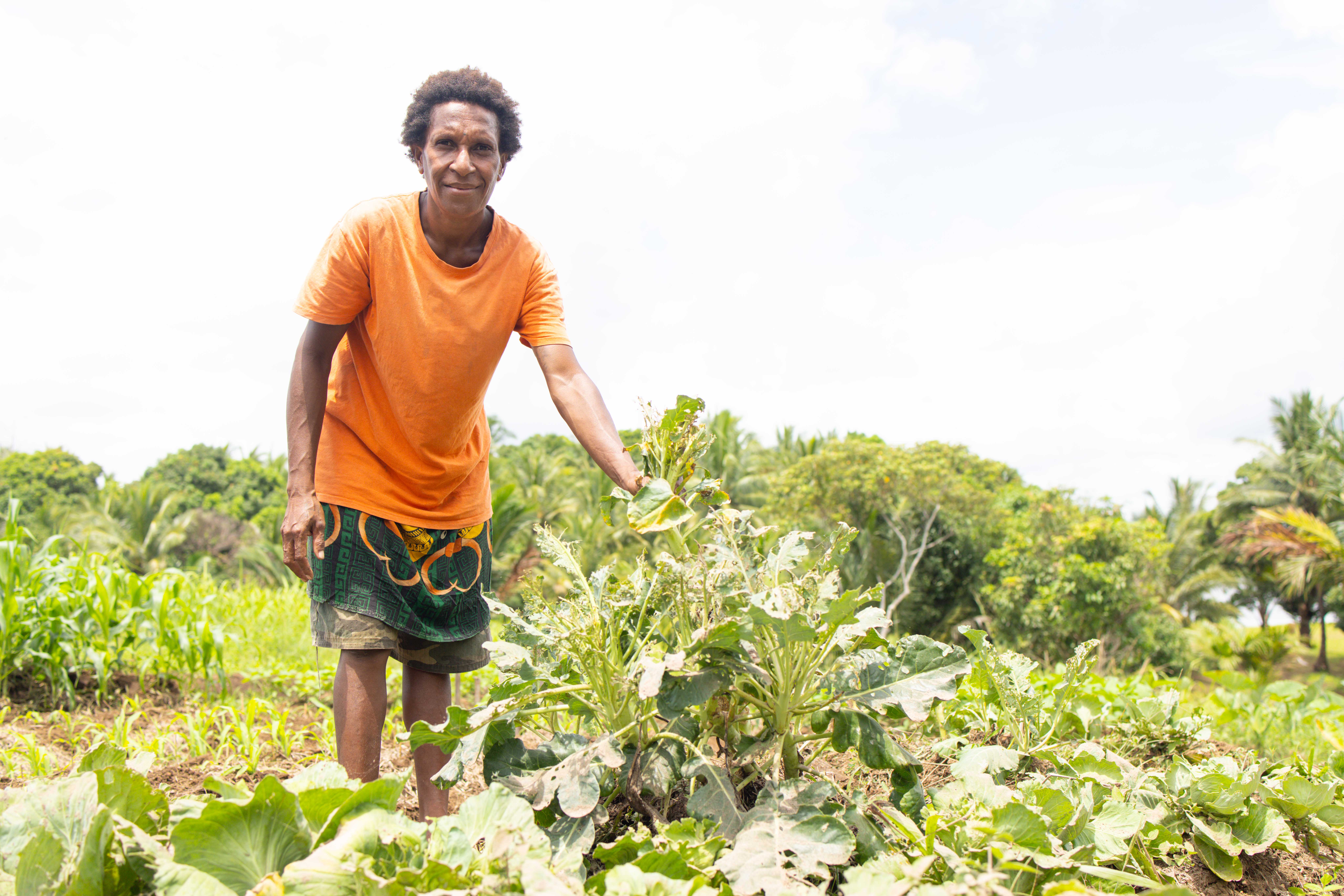 Siwakato's Reflection: Life Is in the Garden | Papua New Guinea | World ...