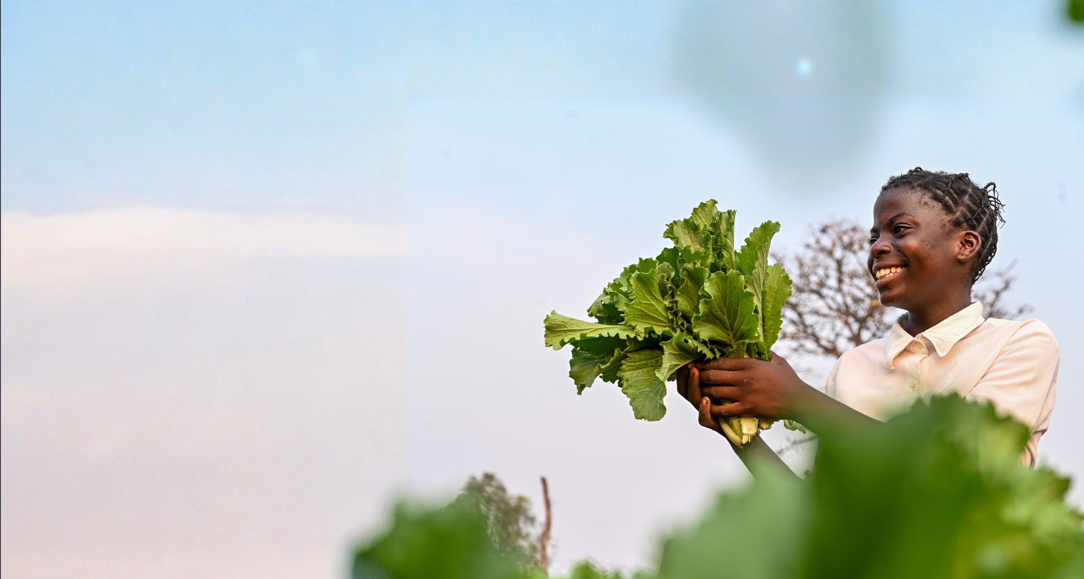 Global Alliance Against Hunger and Poverty | Our Partners and Allies ...