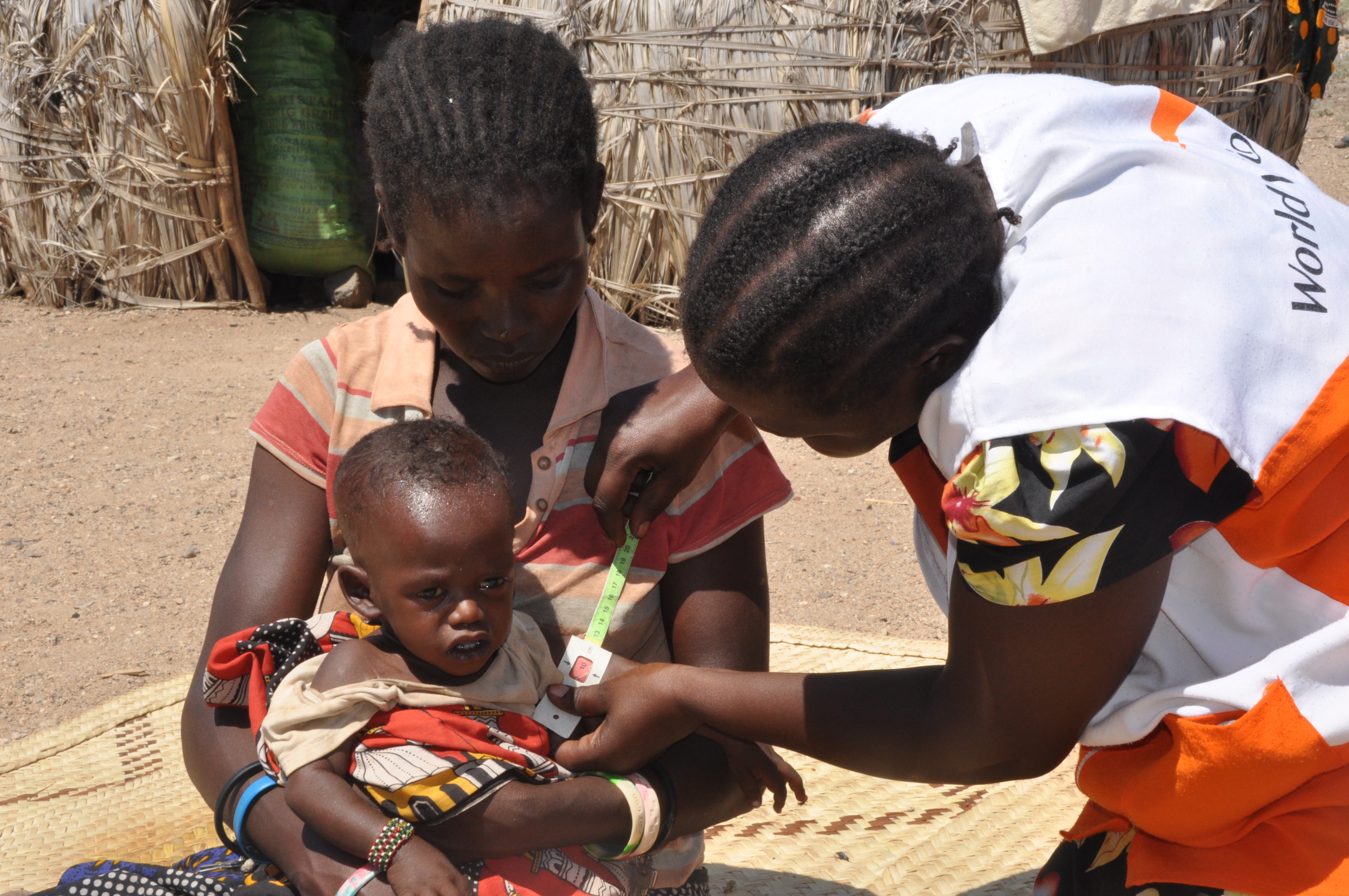 Calls for Urgent Early Response to a Deteriorating Food and Nutrition ...