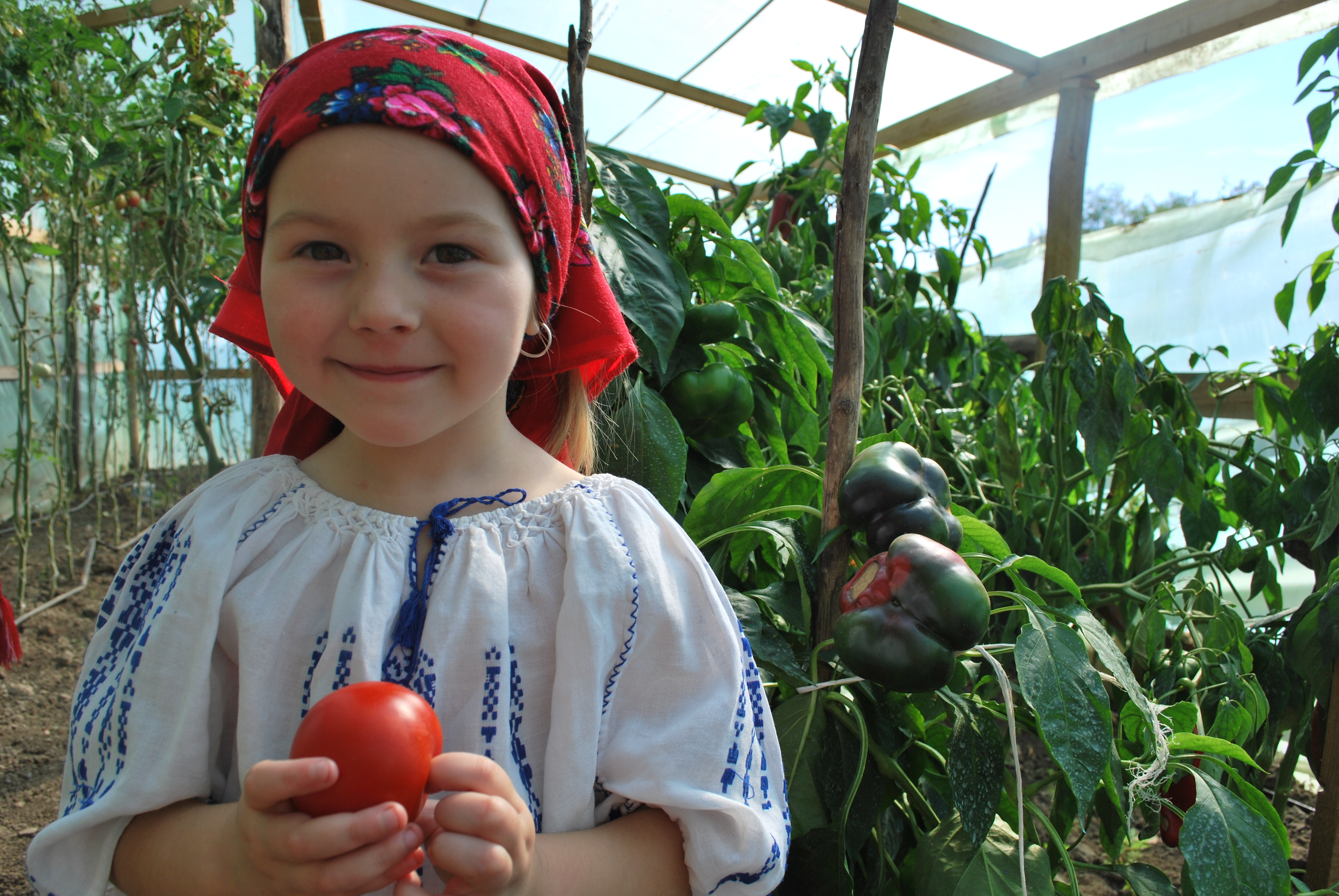 Growing vegetables also grows hopes for a brighter future | Romania ...