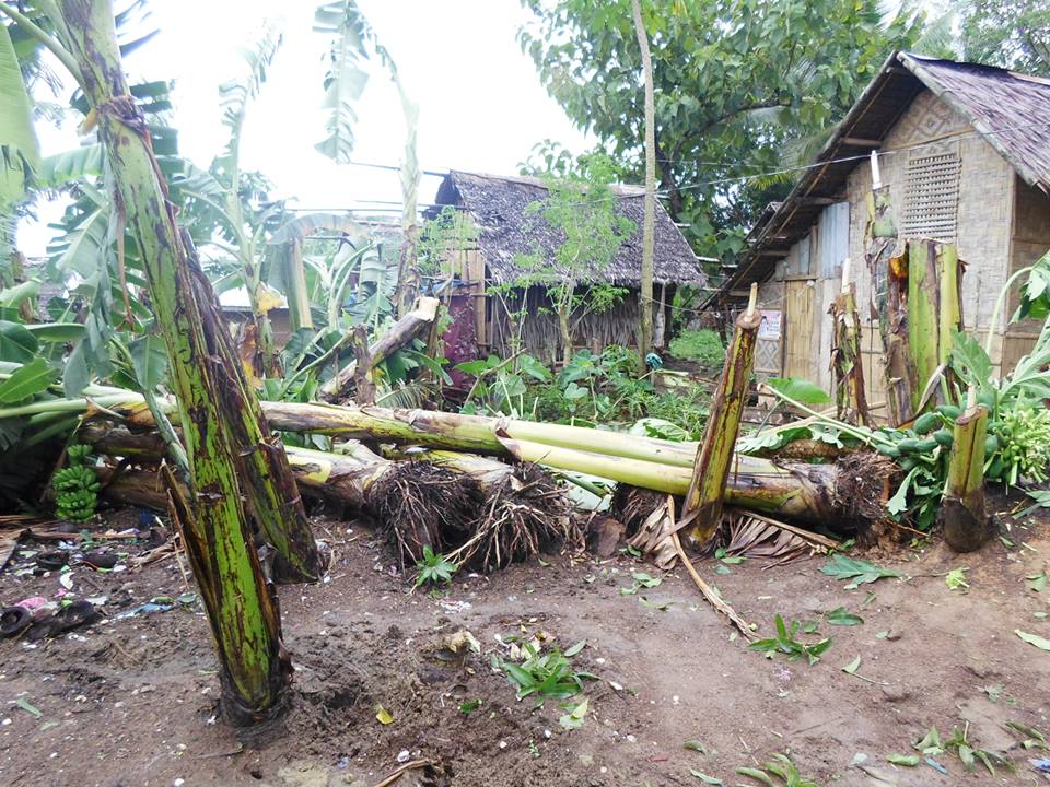 World Vision responding to massive destruction by Super Typhoon Haiyan ...
