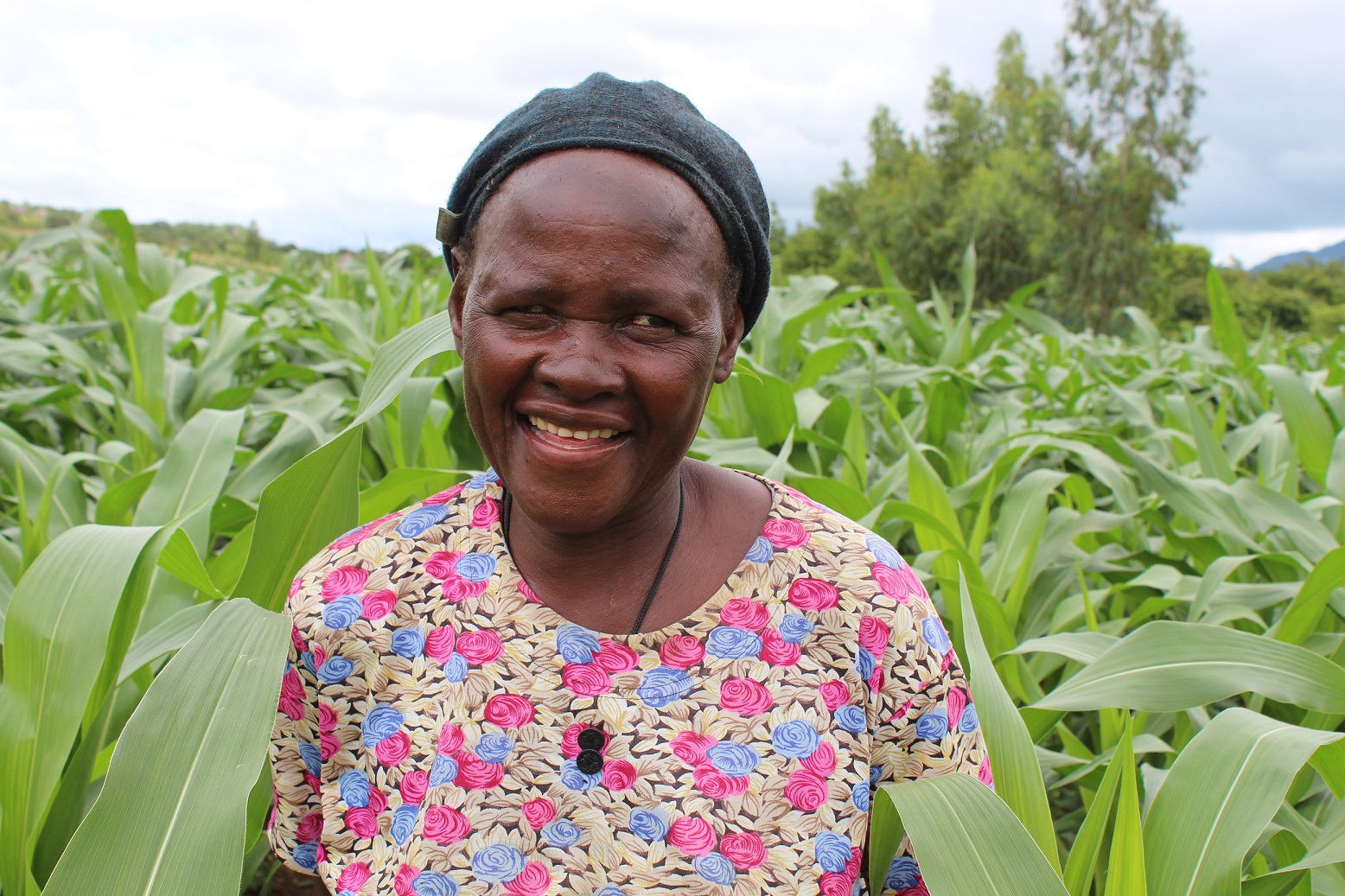 Intensive Farming In Zimbabwe - Farm House