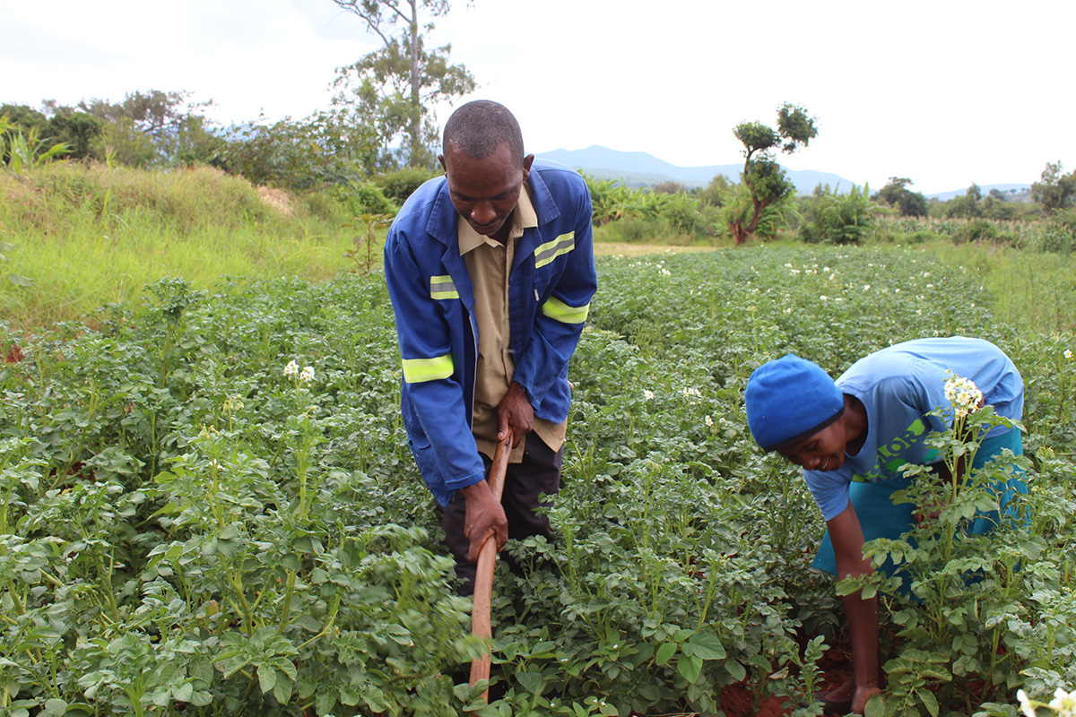 Livelihoods and Resilience | World Vision International