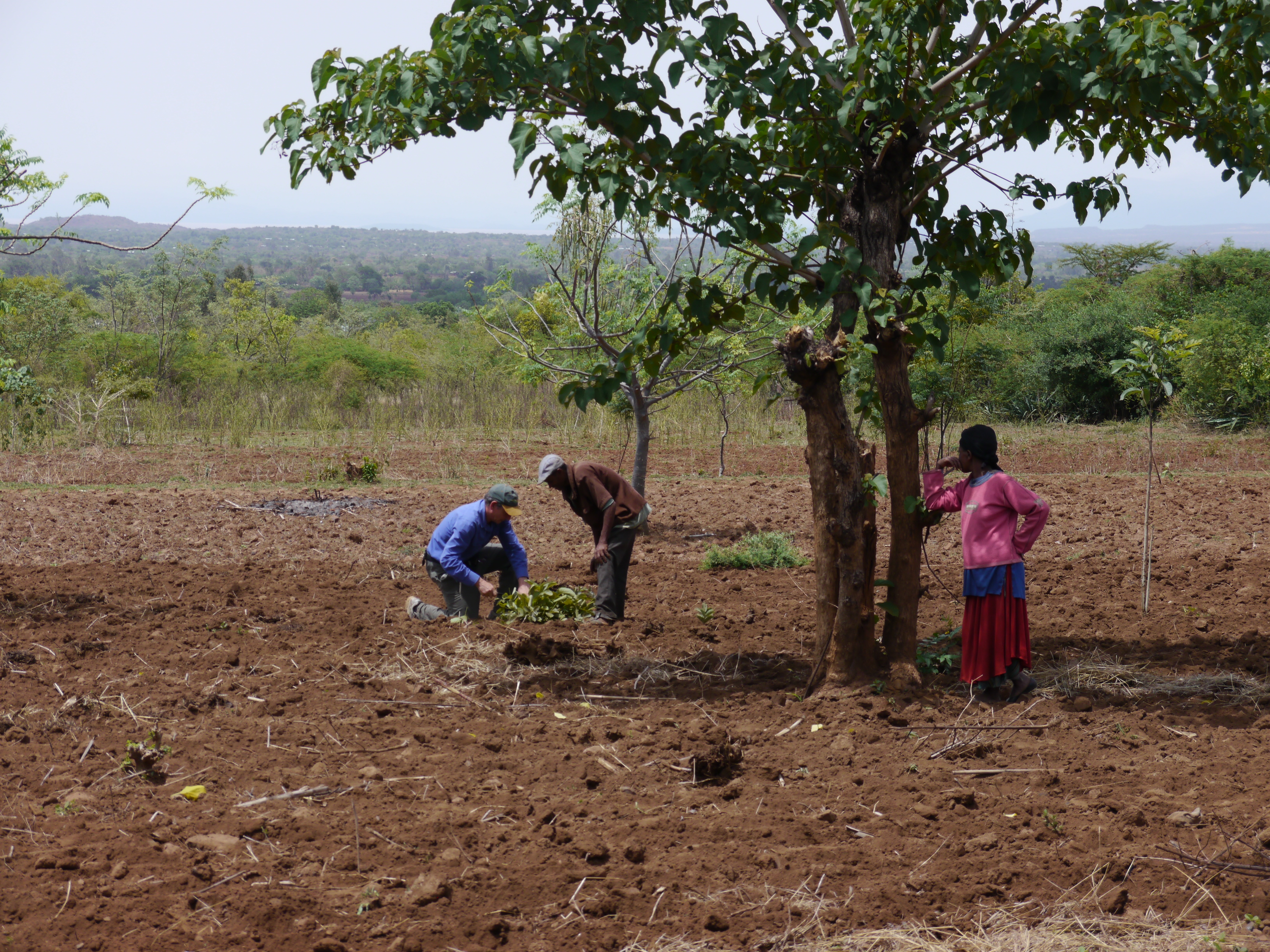 Forests - Supermarkets of the poor | World Vision International