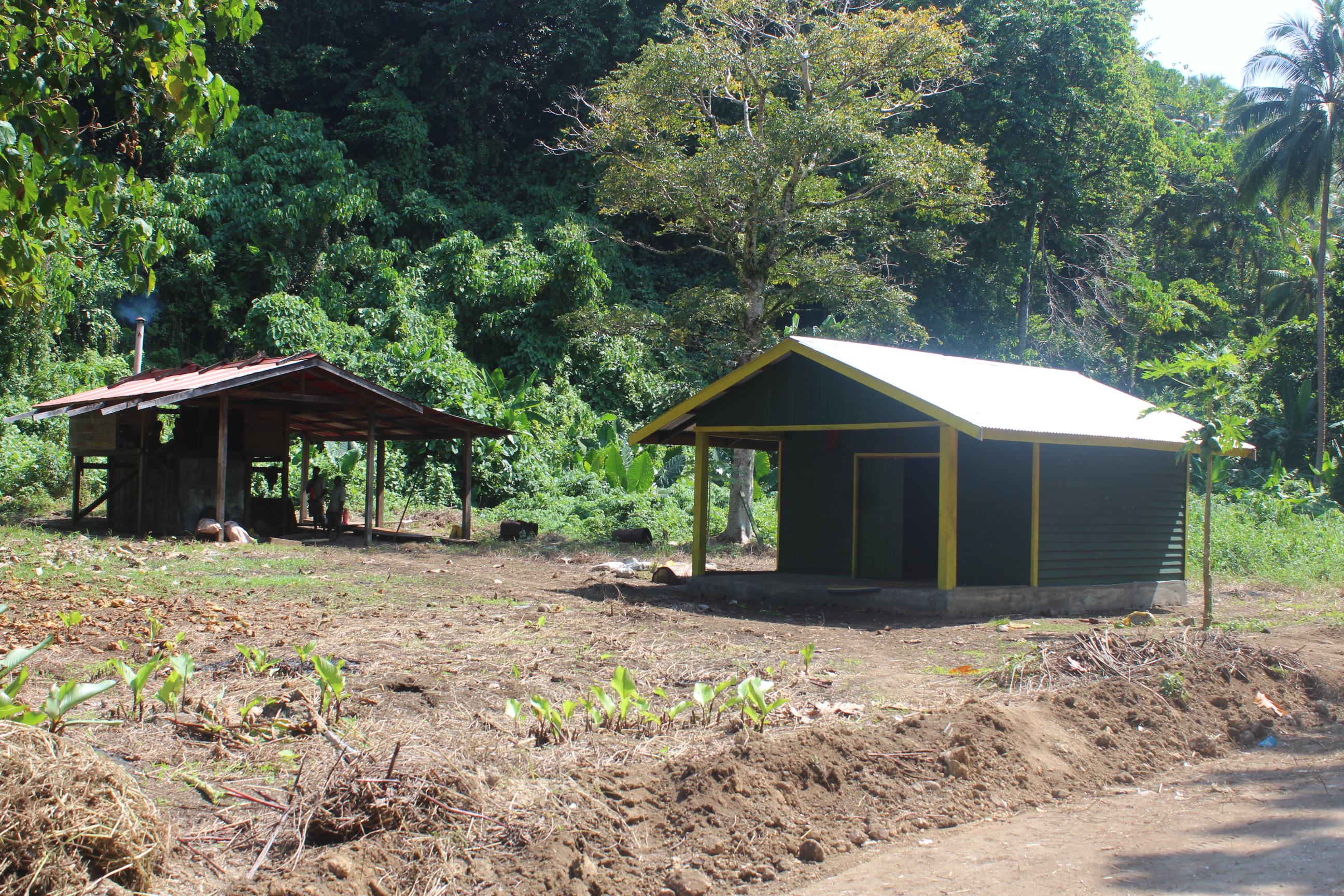 Improving lives with cocoa farming | Solomon Islands | World Vision ...