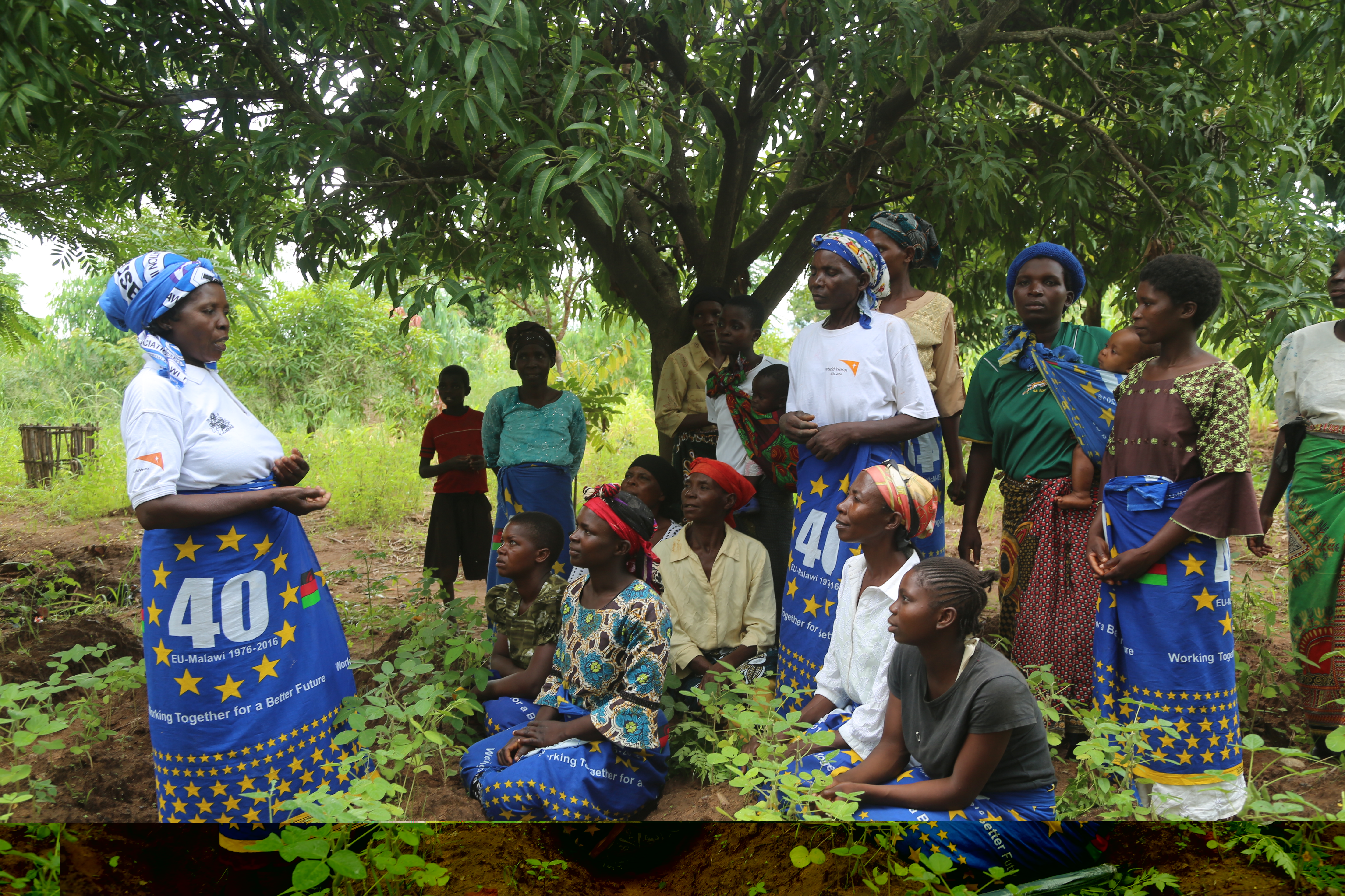 Transforming communities through forests | Malawi | World Vision ...