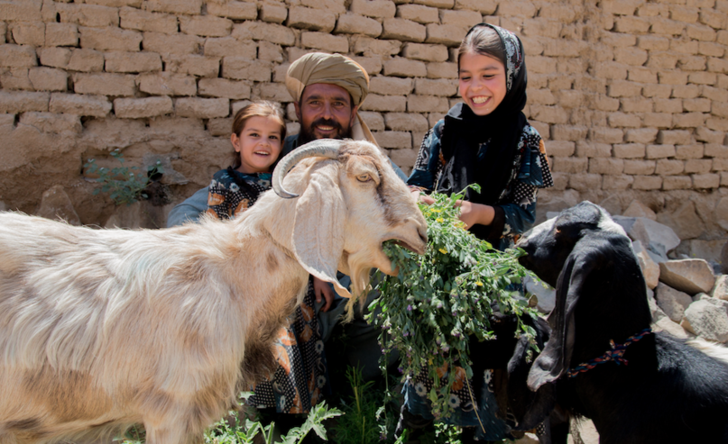 Change Arrives on the Back of a Goat | Afghanistan | World Vision ...