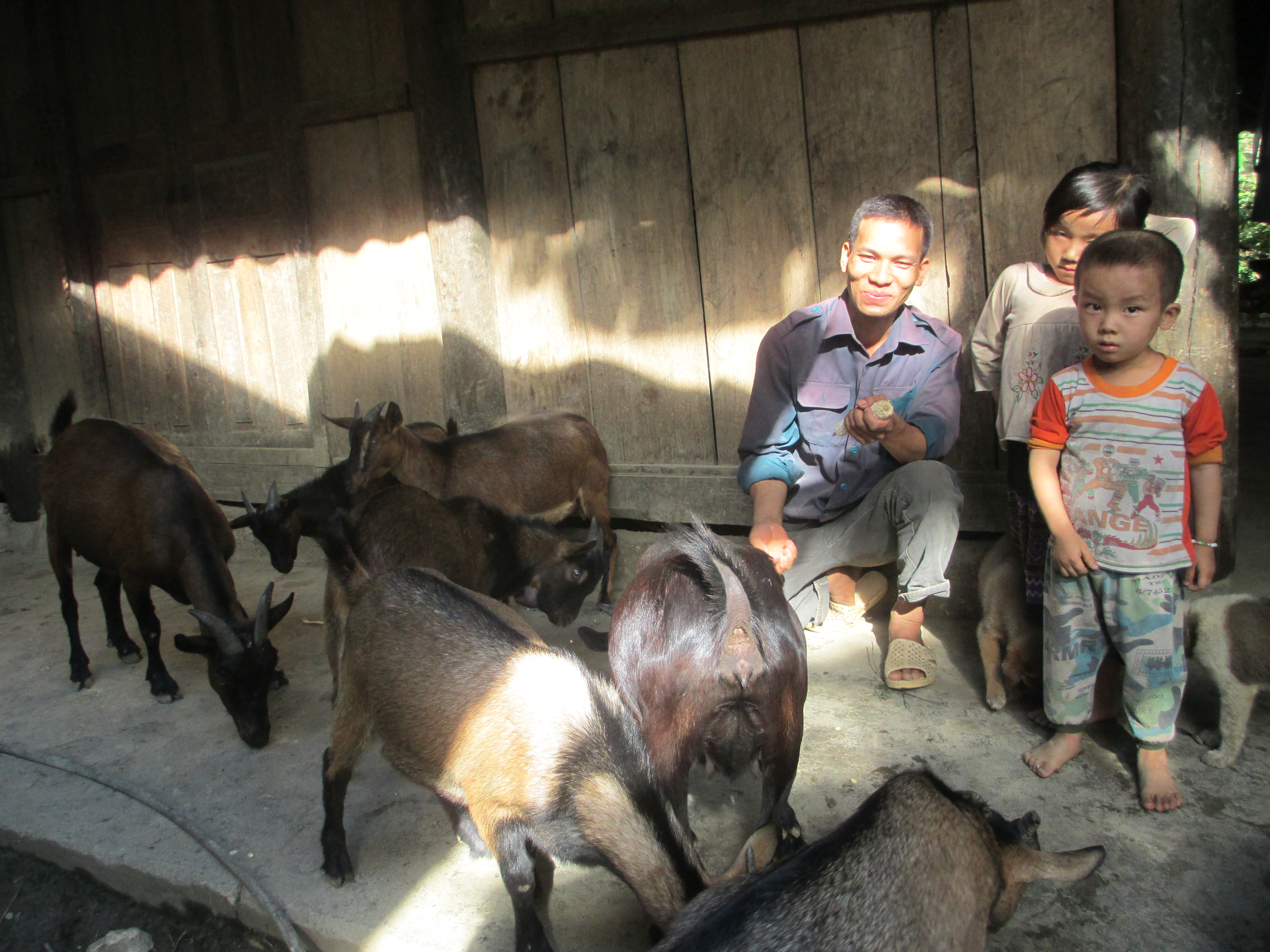 My goat, my hope | Vietnam | World Vision International