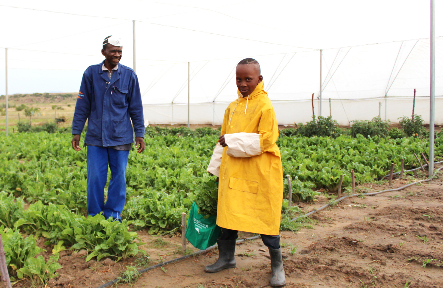 Vegetables production in dire drought | Lesotho | World Vision ...