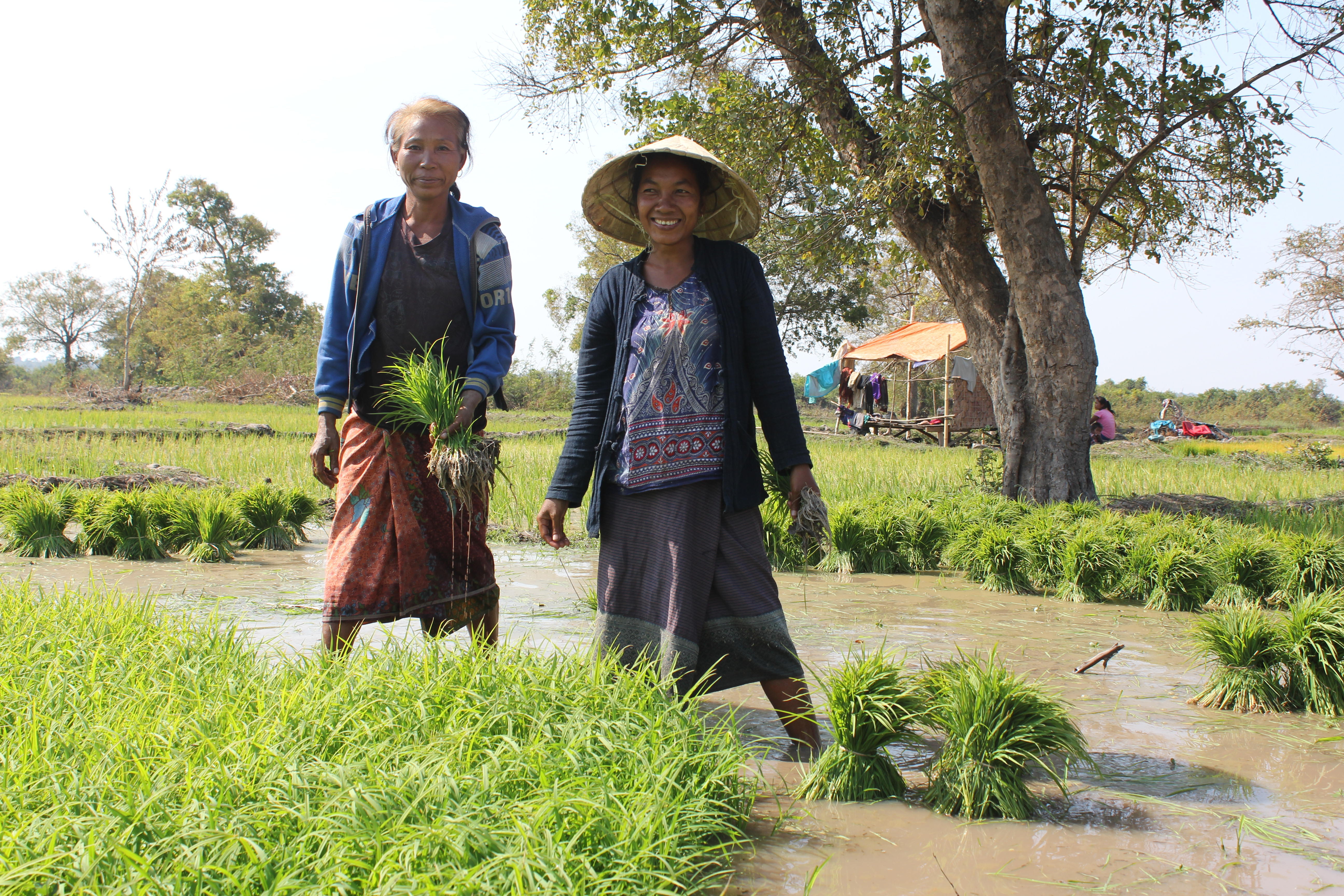 Creating new waterways with irrigation infrastructure | Laos | World ...