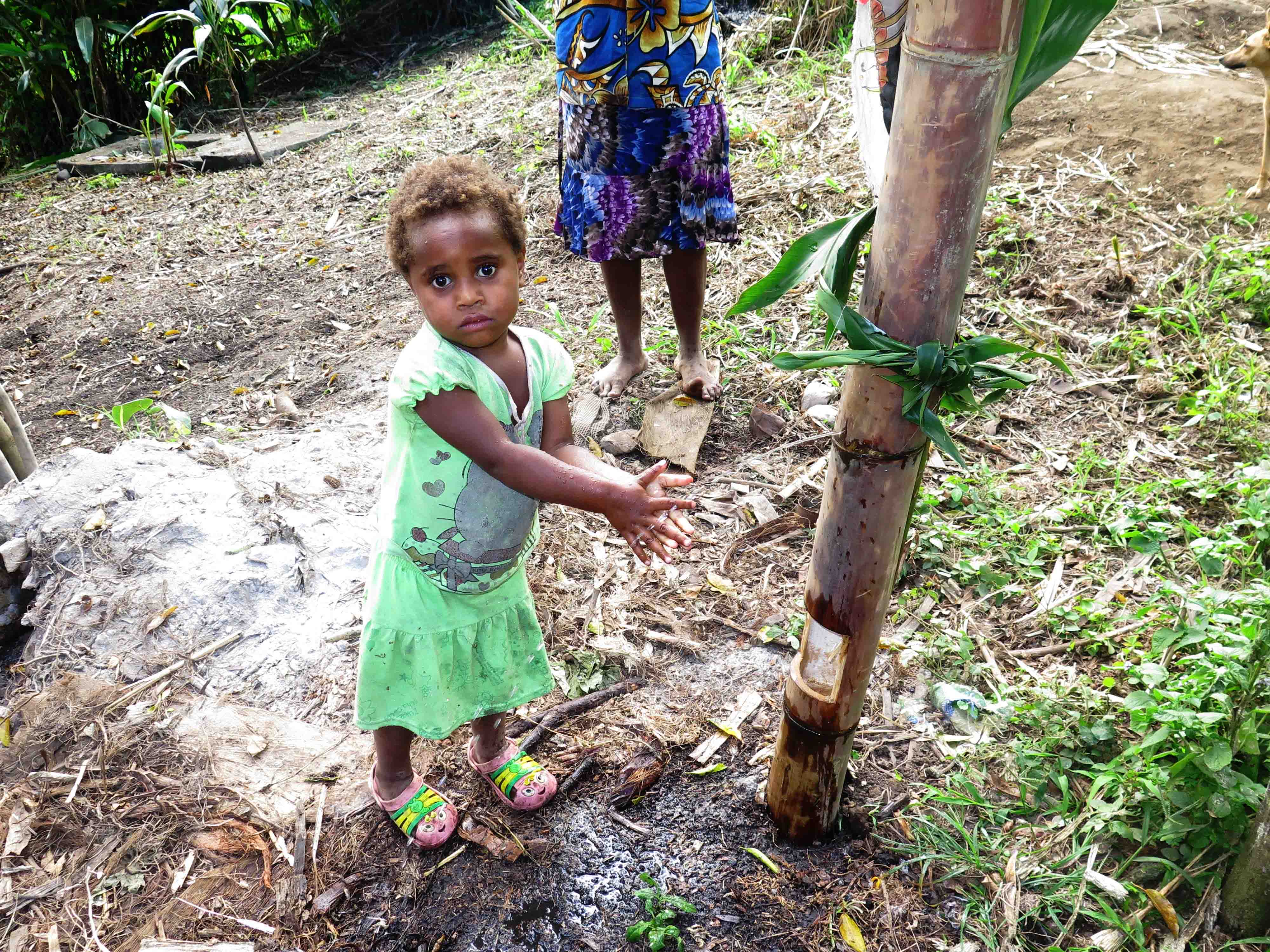 The bamboo tippy tip: a Vanuatu innovation | Vanuatu | World Vision ...